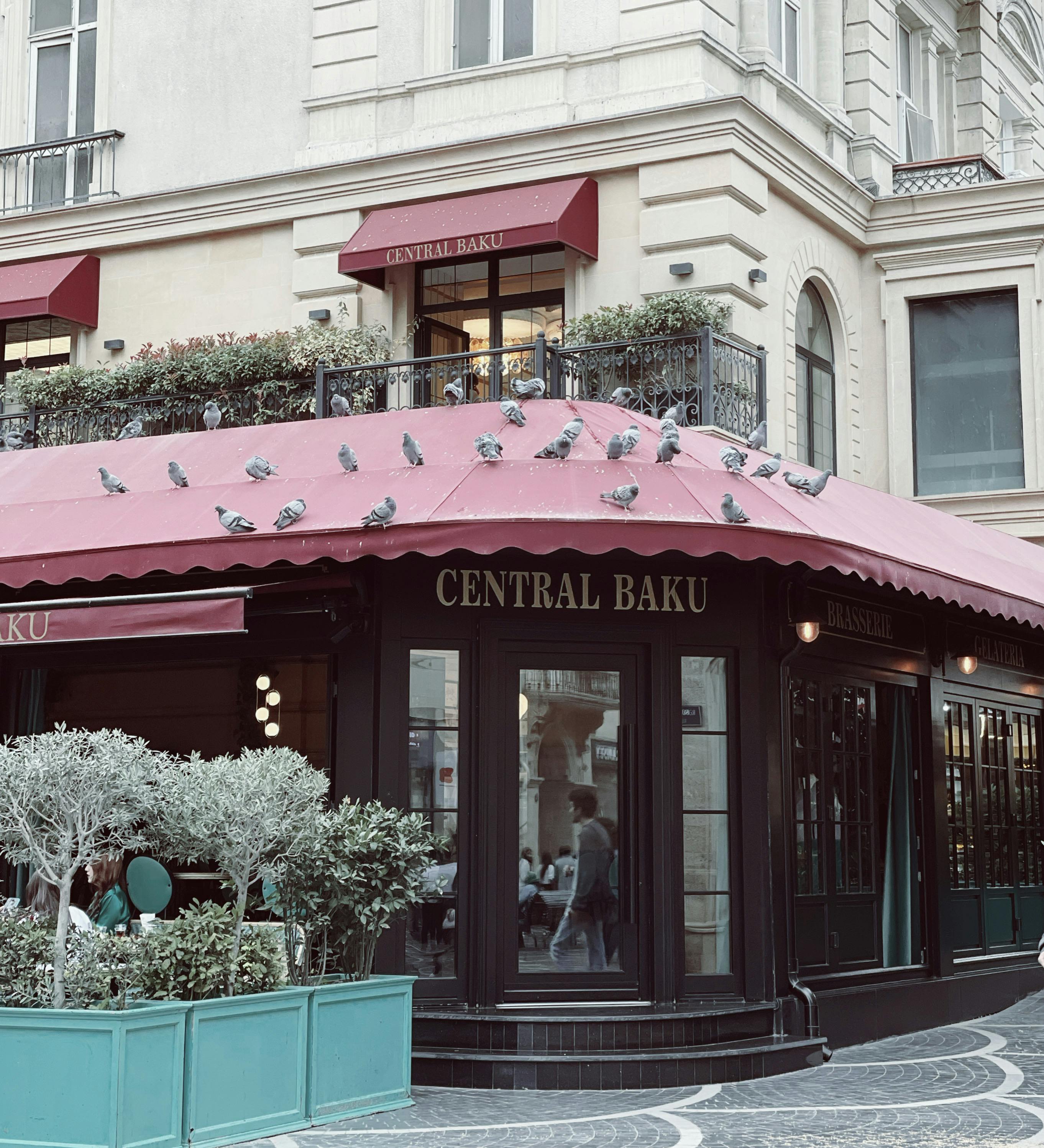 The Central Baku Restaurant Facade, Baku, Azerbaijan · Free Stock Photo