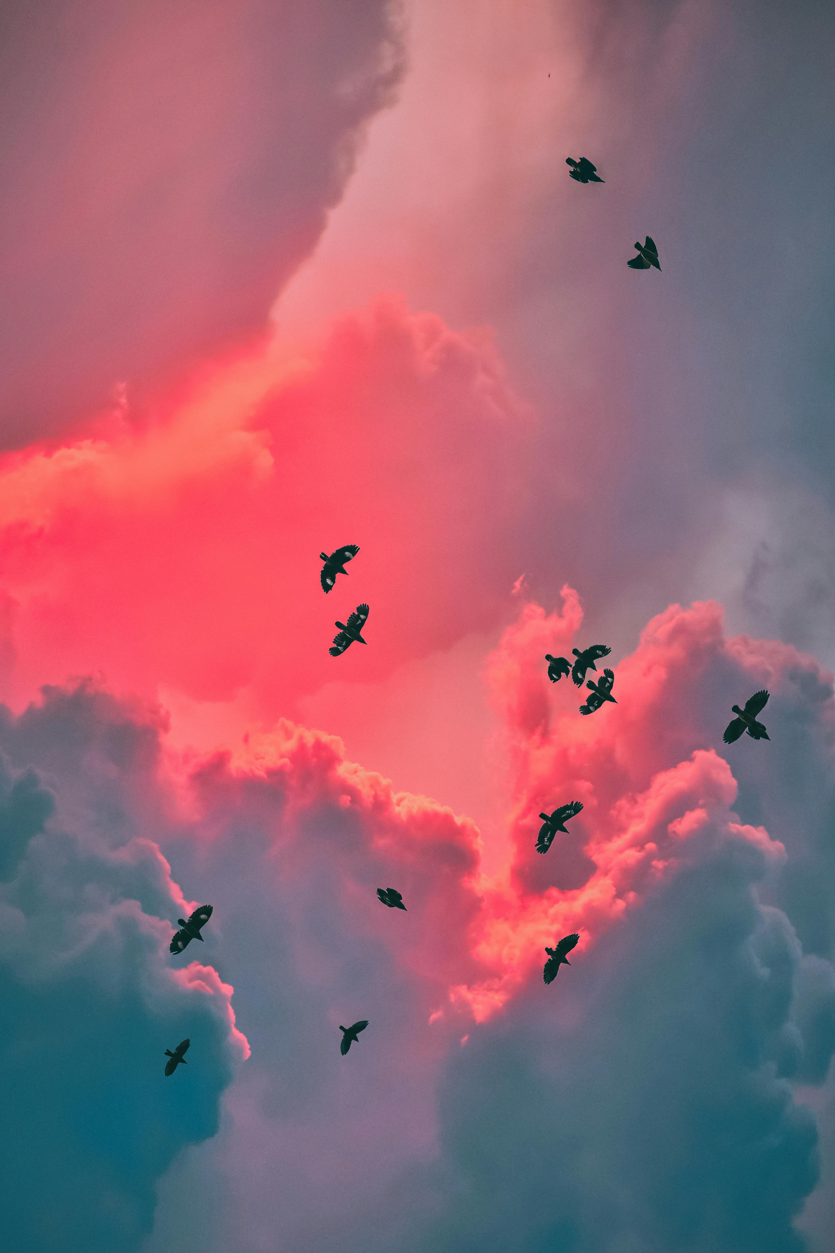 Animated Sky Photos, Download The BEST Free Animated Sky Stock Photos ...