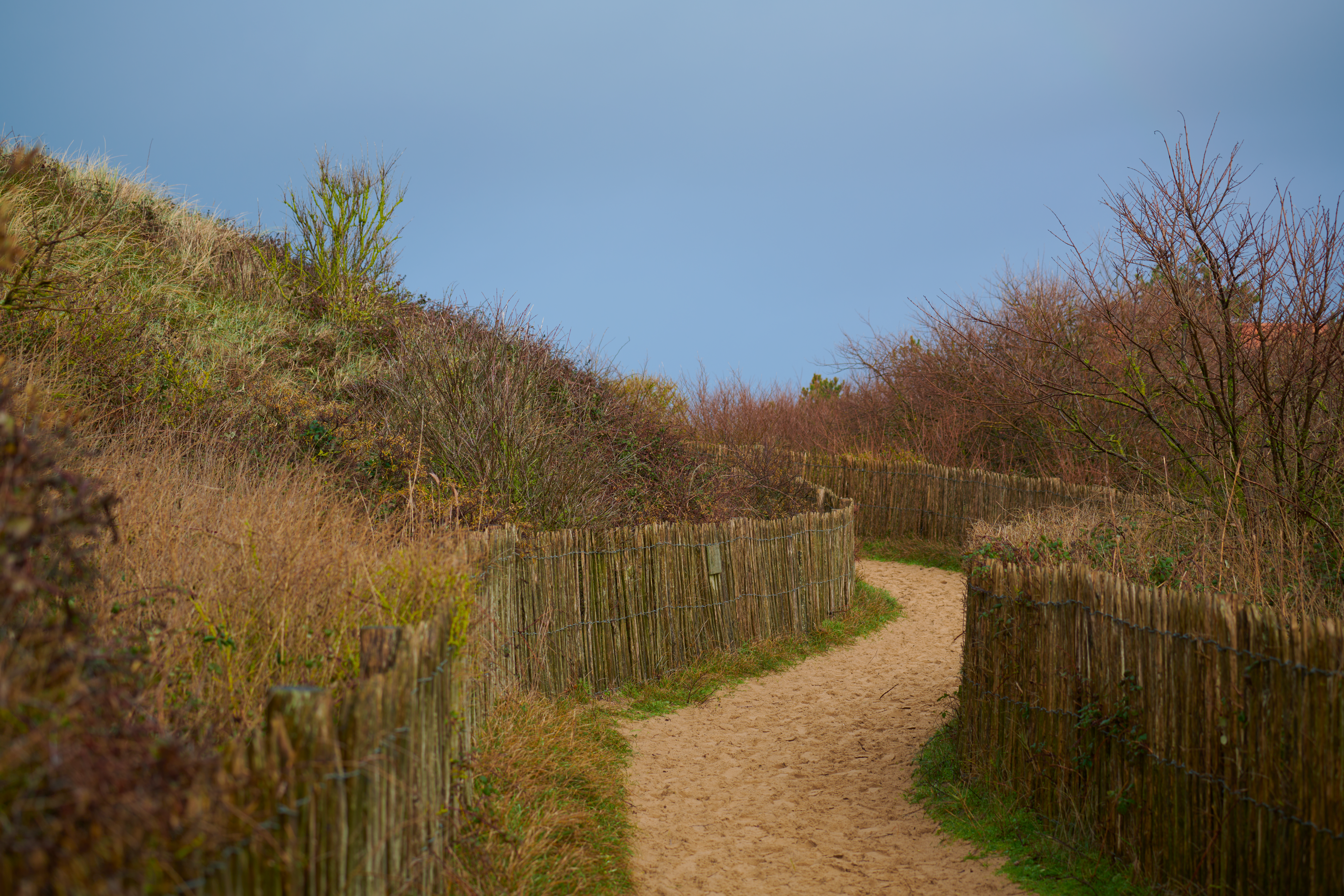 A Sandy Trail on a Hill · Free Stock Photo