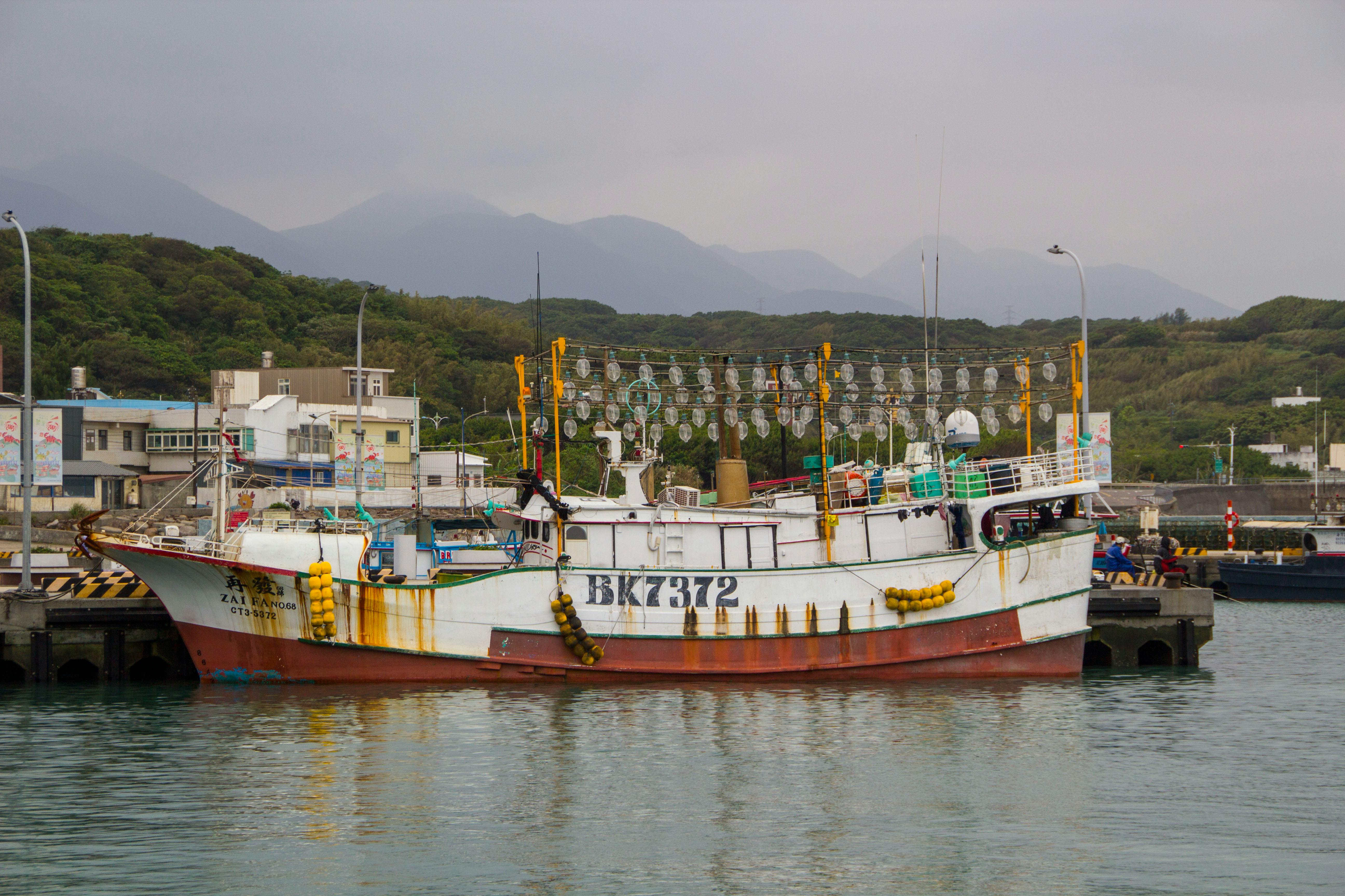 Taiwan Fishing Photos, Download The BEST Free Taiwan Fishing Stock ...