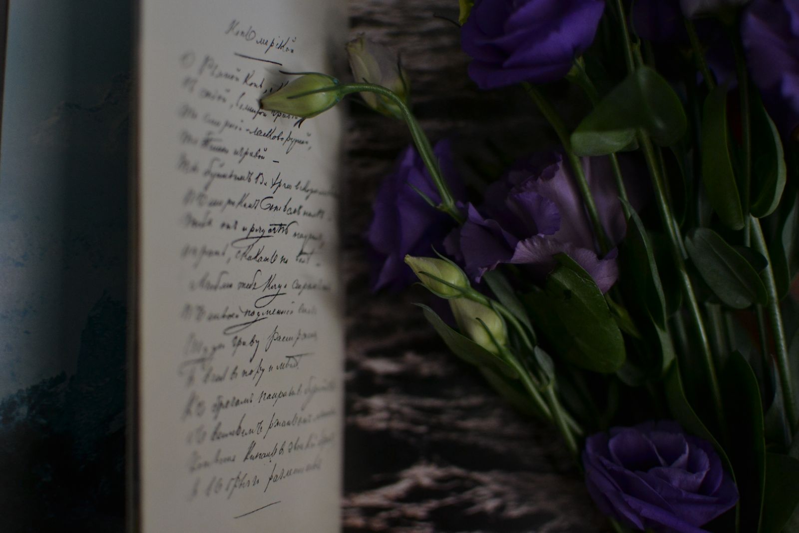 Poetry Flowers Blue Photos, Download The BEST Free Poetry Flowers Blue ...