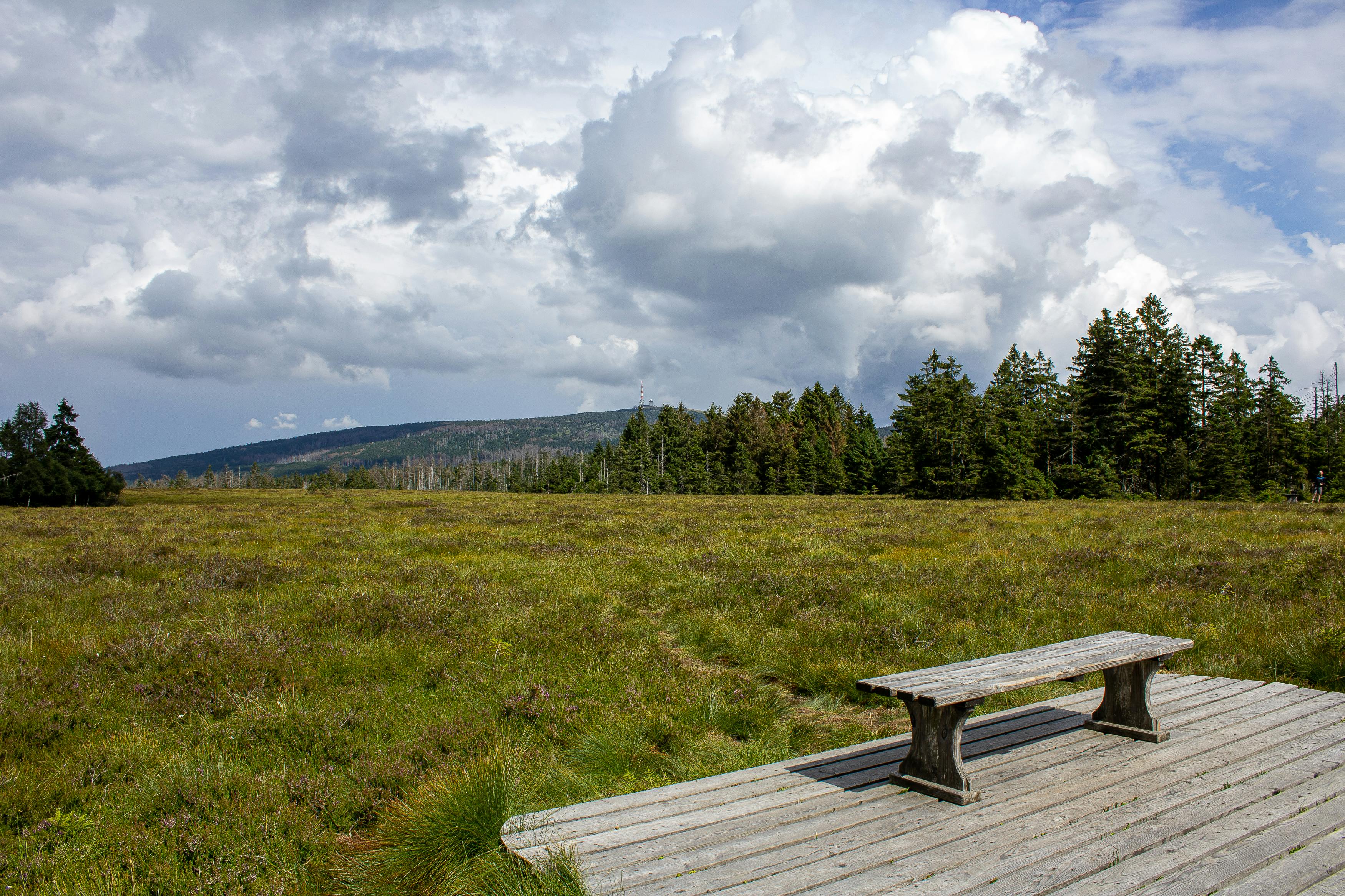 Vision Boards Photos, Download The BEST Free Vision Boards Stock Photos ...