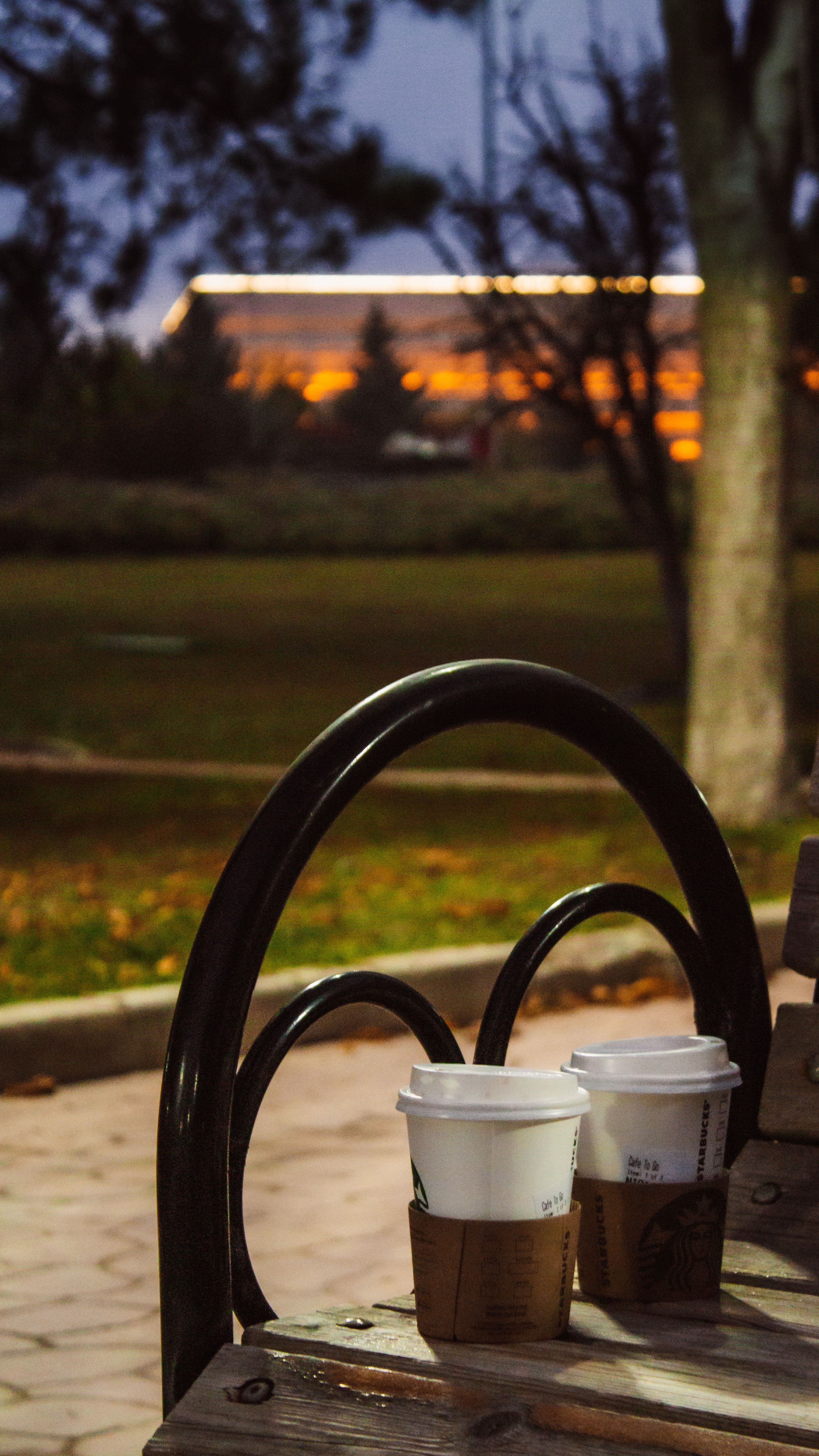Coffee Cups on a Bench · Free Stock Photo