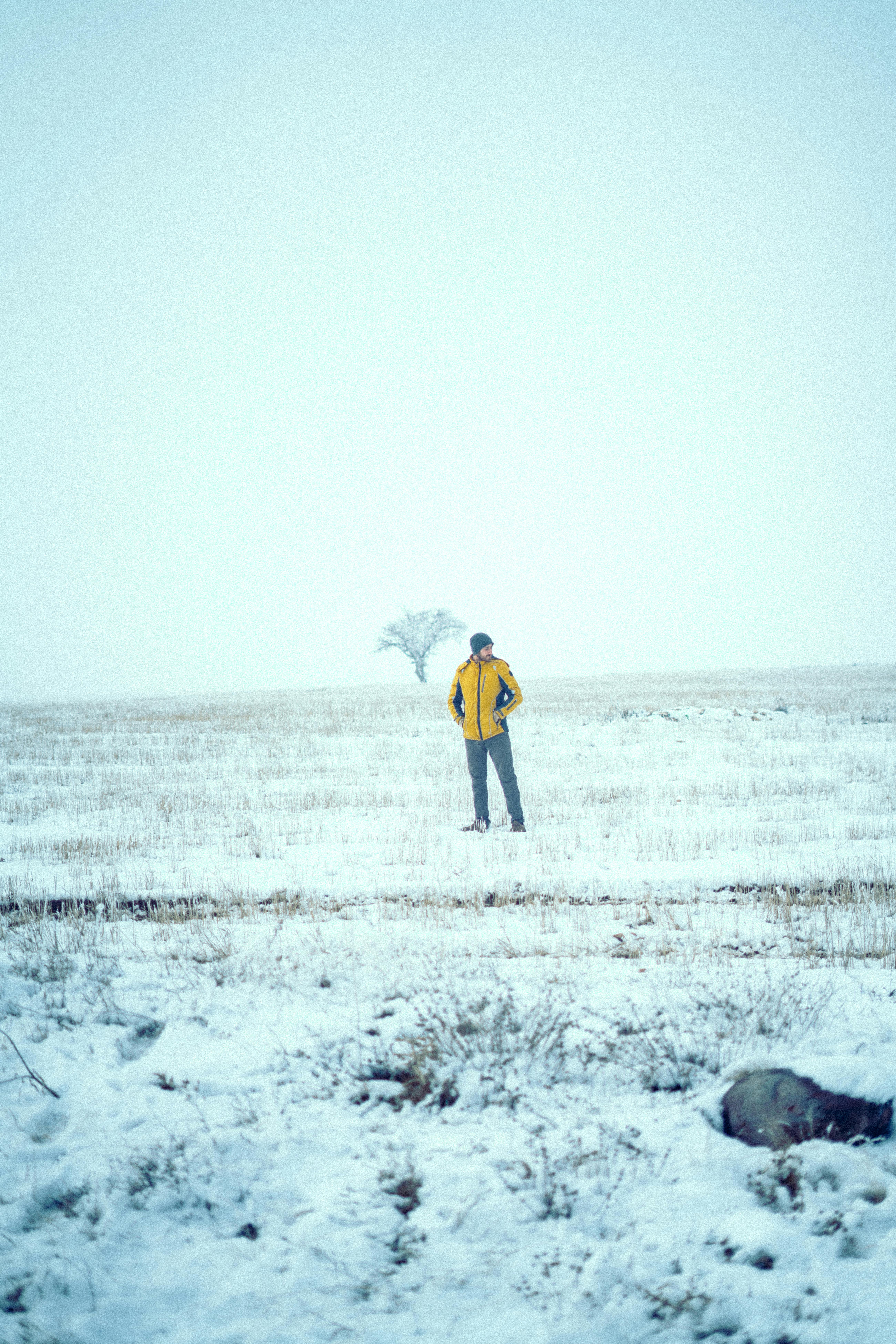 Man Standing on a Snowy Field · Free Stock Photo