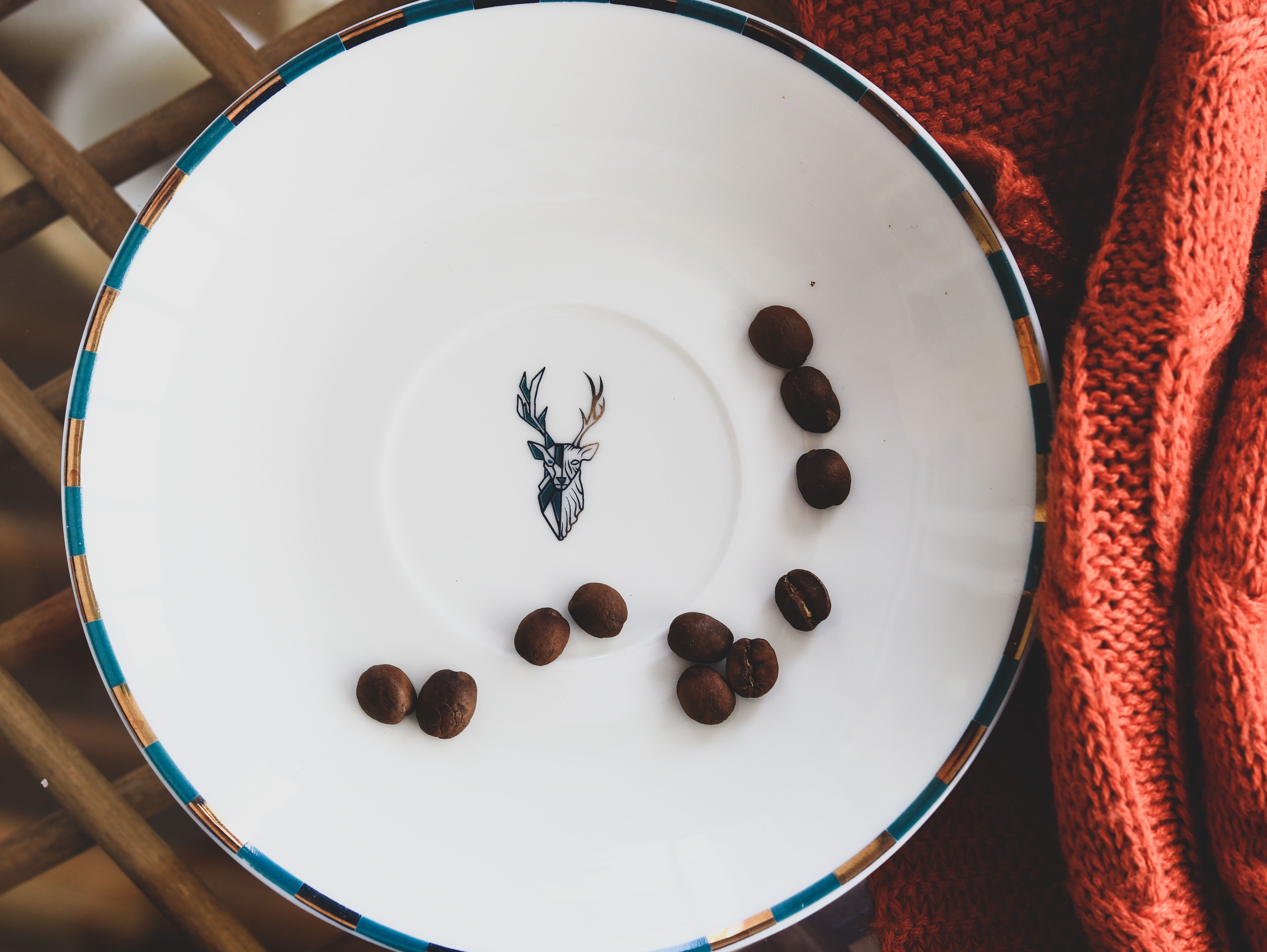 Cup of Tea · Free Stock Photo