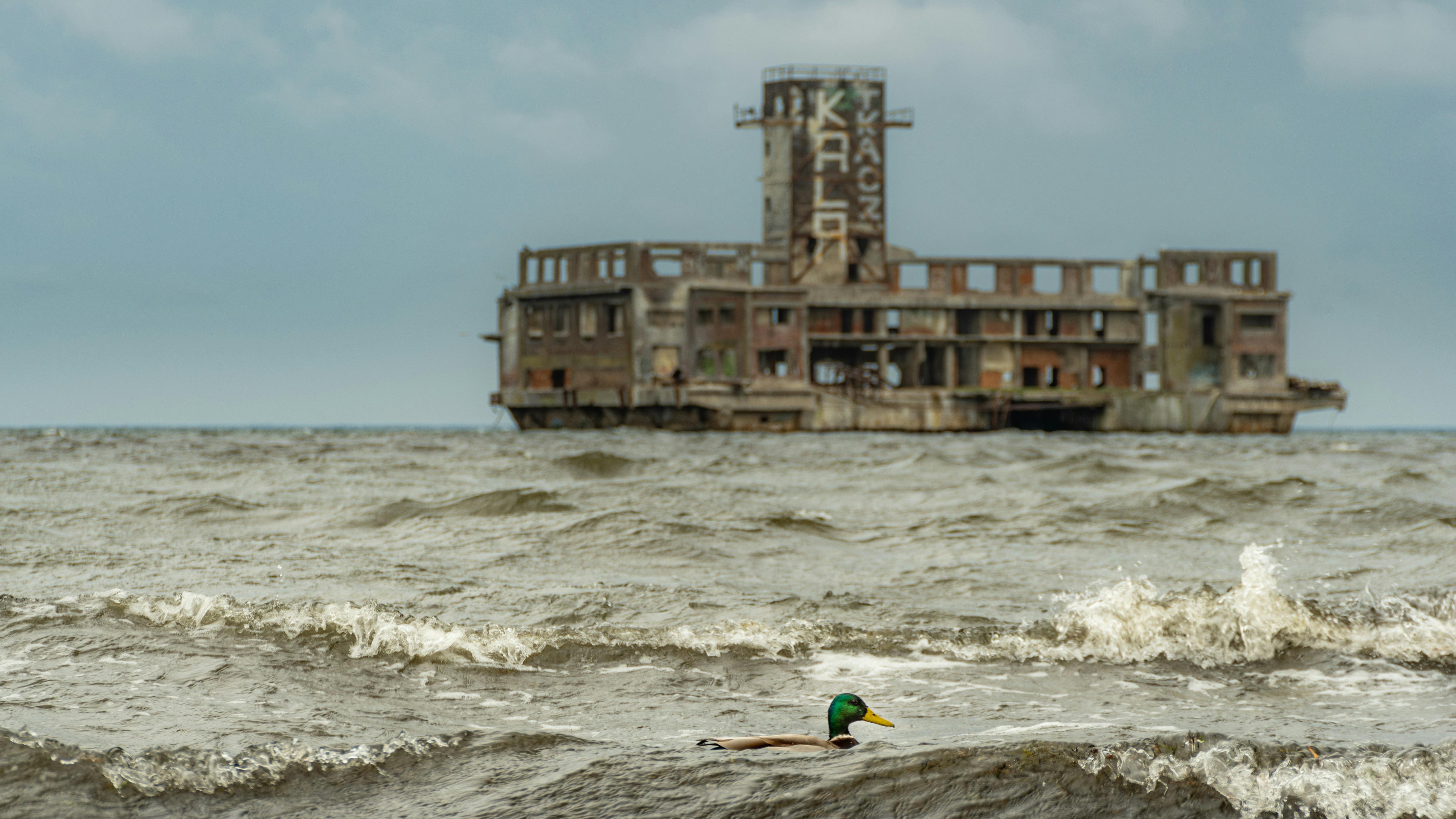 Vapor Wave Photos, Download The BEST Free Vapor Wave Stock Photos & HD ...