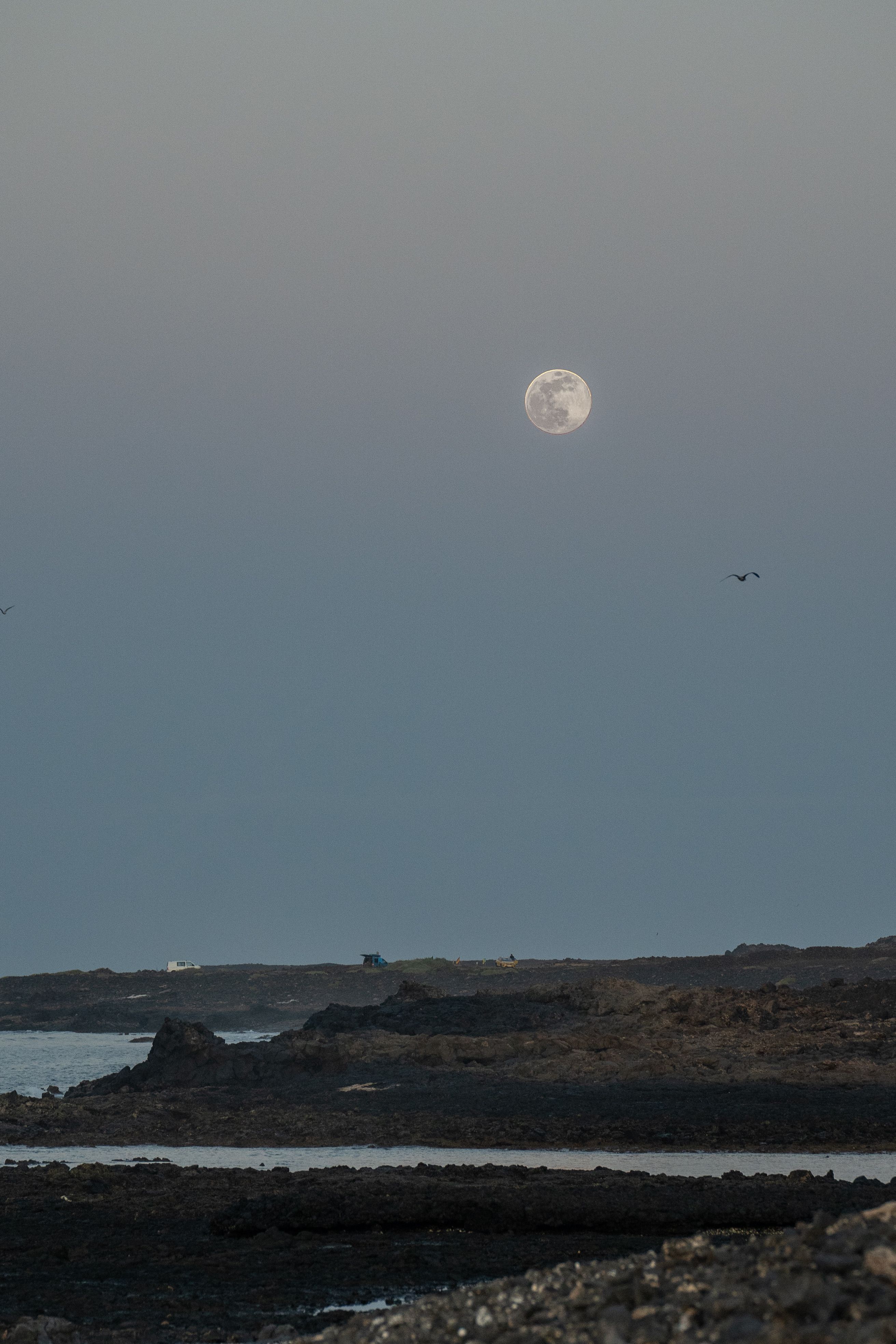 Moon on Clear Sky over Plains · Free Stock Photo