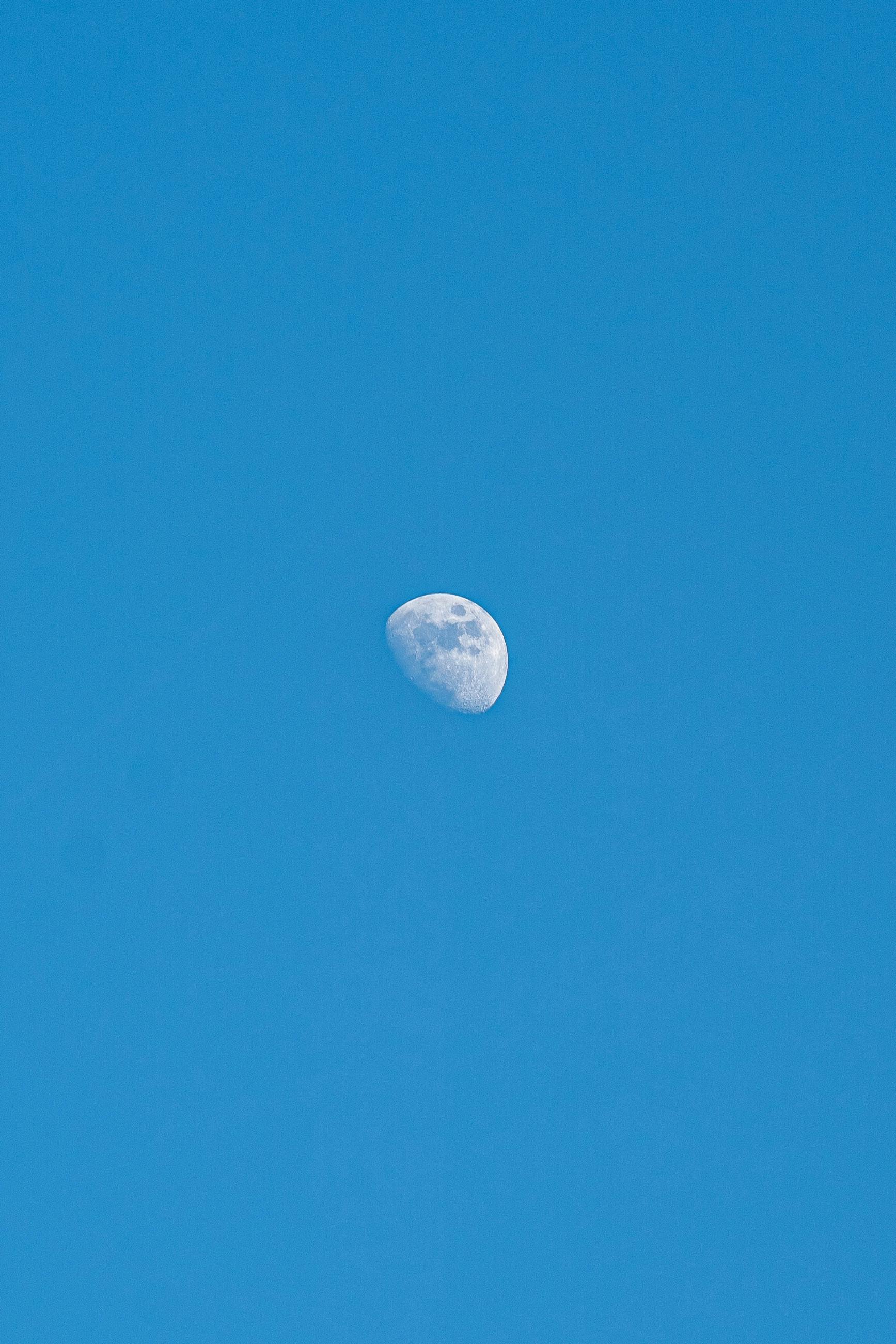 Moon on Clear Sky · Free Stock Photo