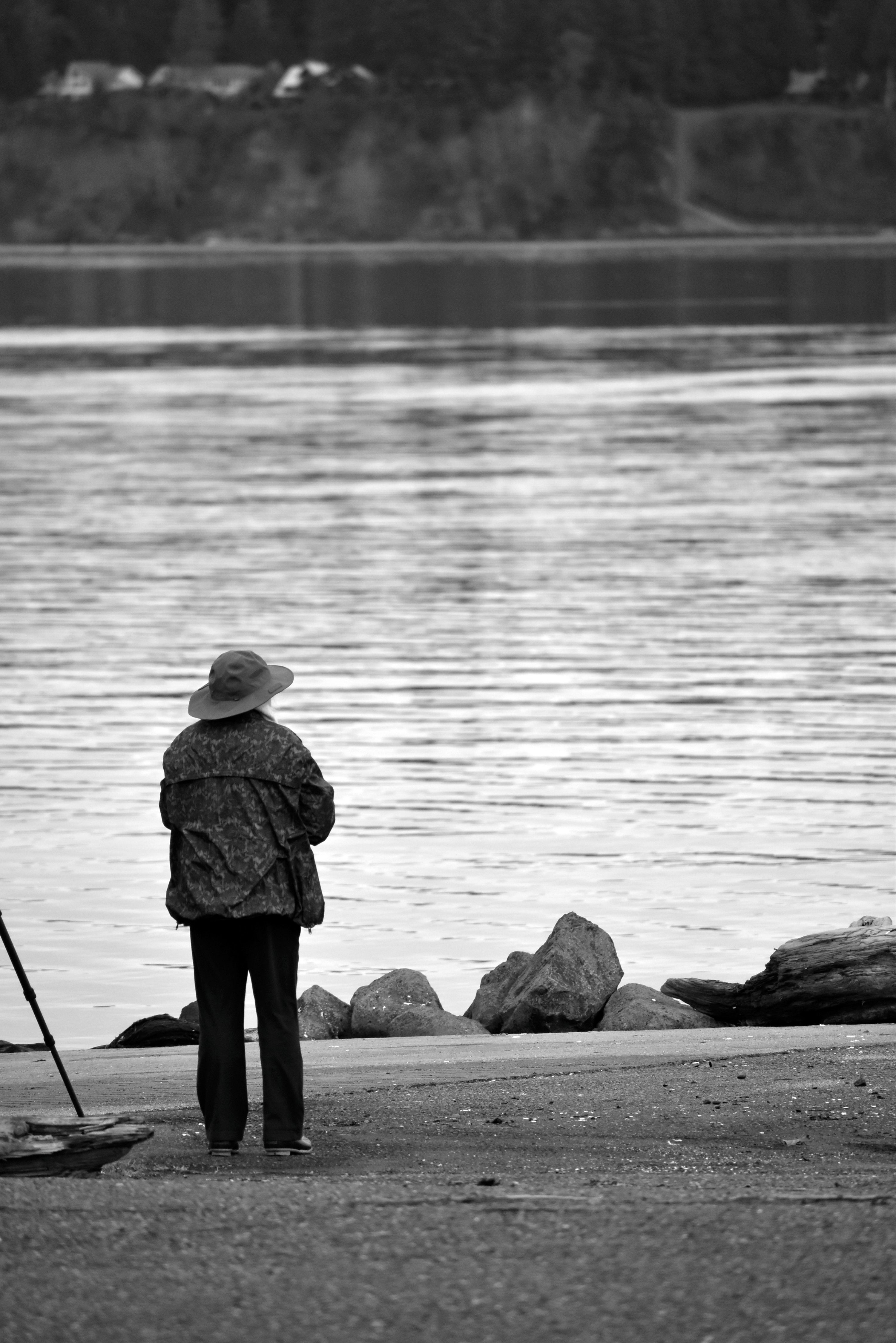 A Man Standing Beside the Lake · Free Stock Photo