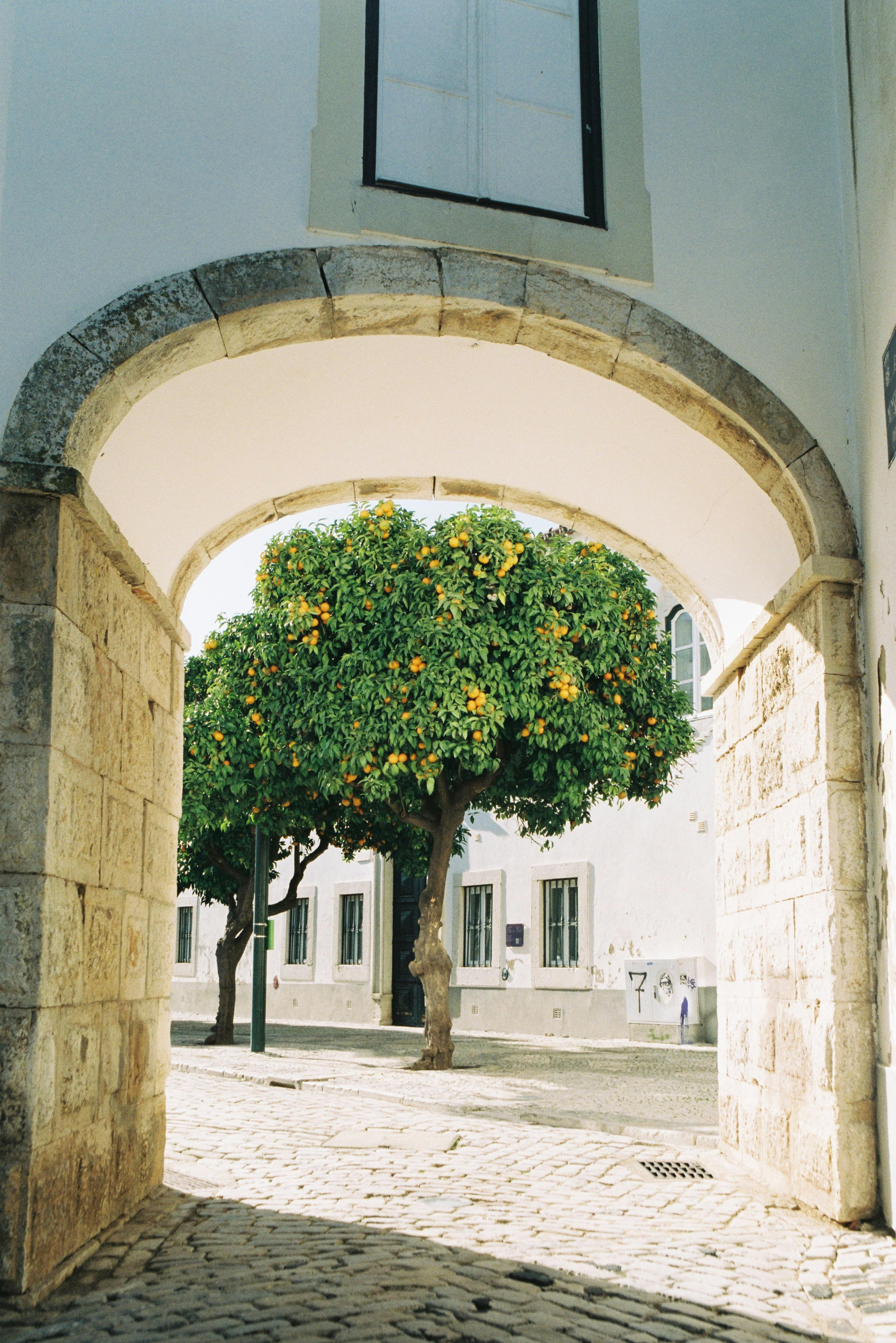 Garden Section Photos, Download The BEST Free Garden Section Stock ...