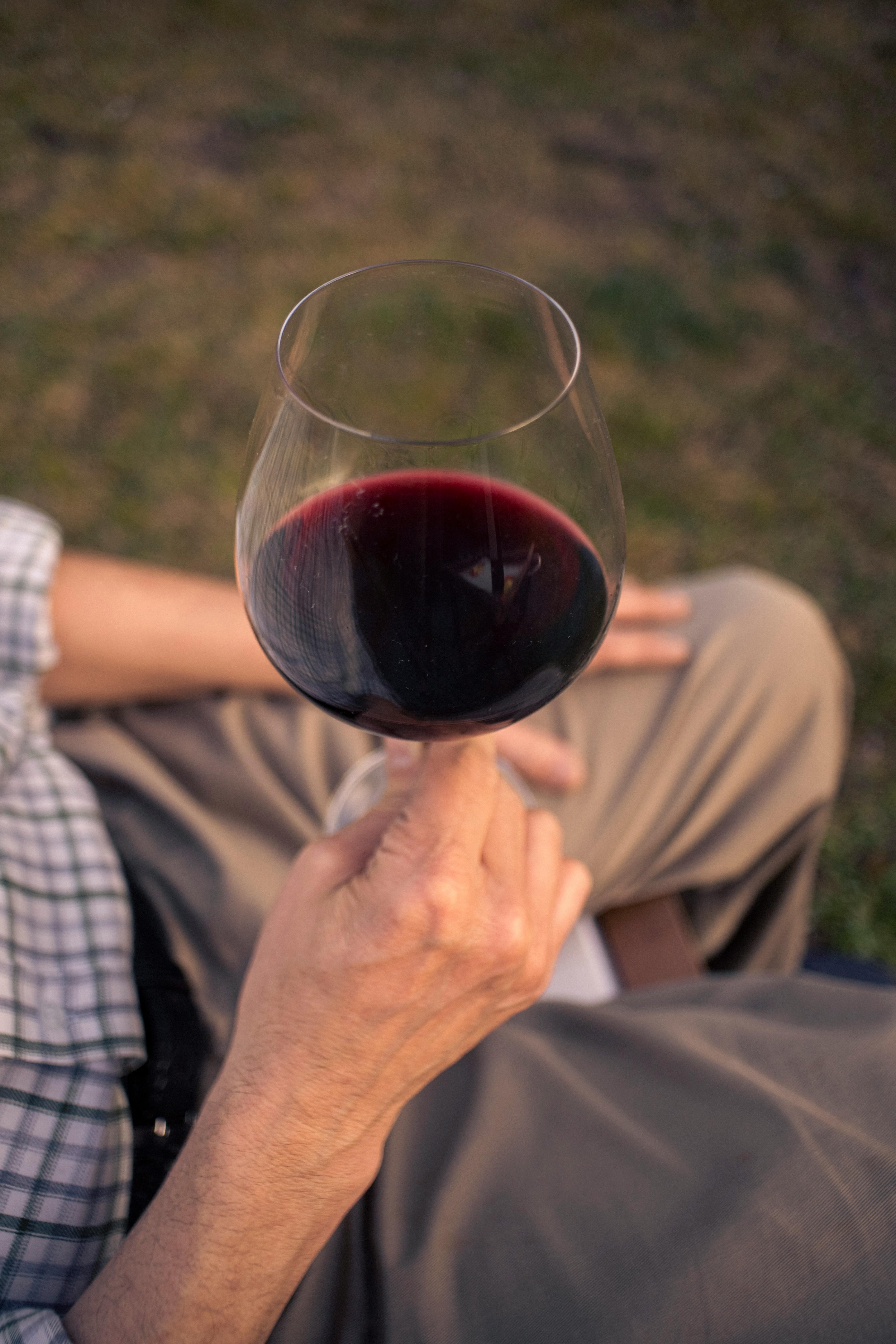 Close Up Photo of Person Holding Wine Glass · Free Stock Photo