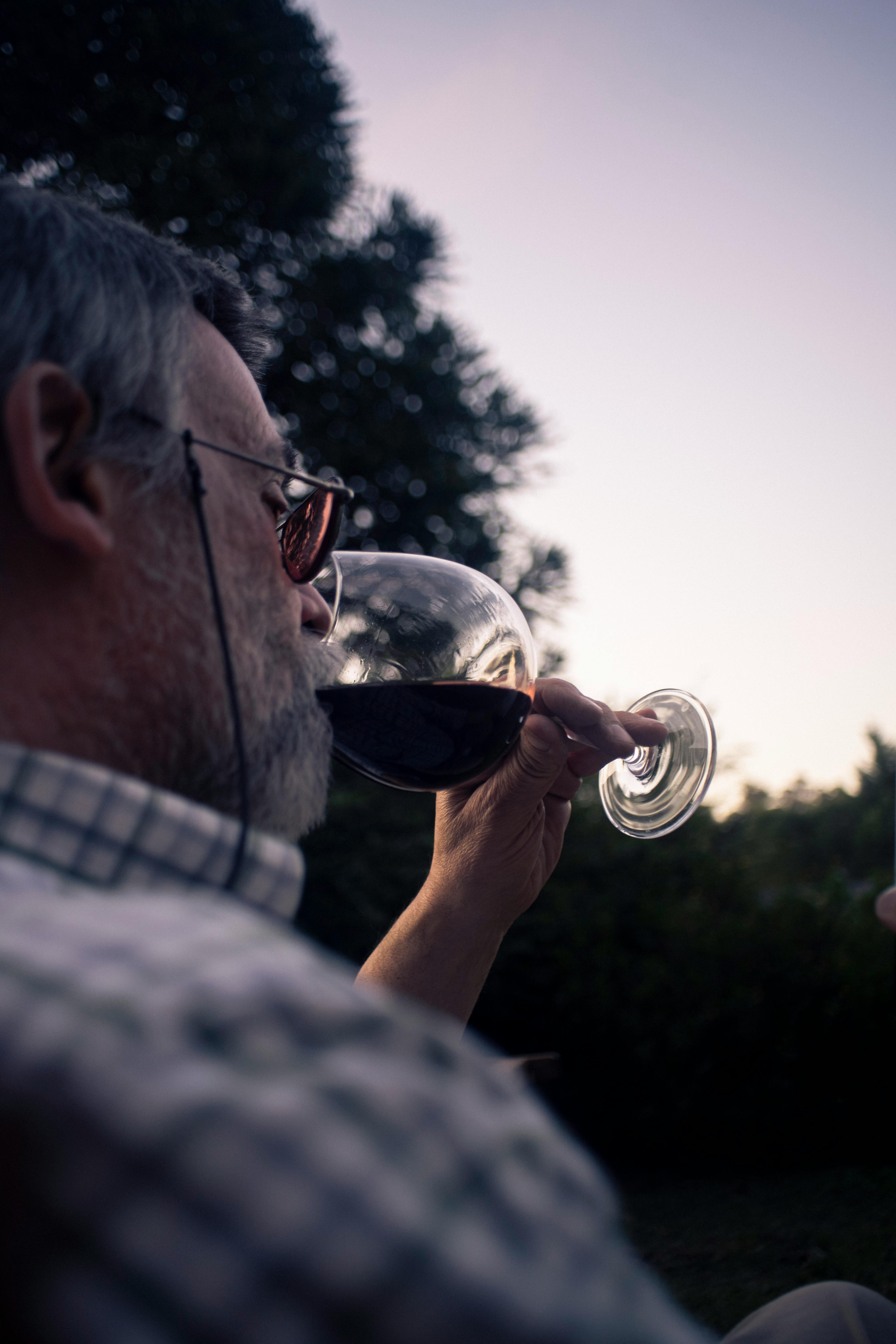 Man Drinking Red Wine · Free Stock Photo