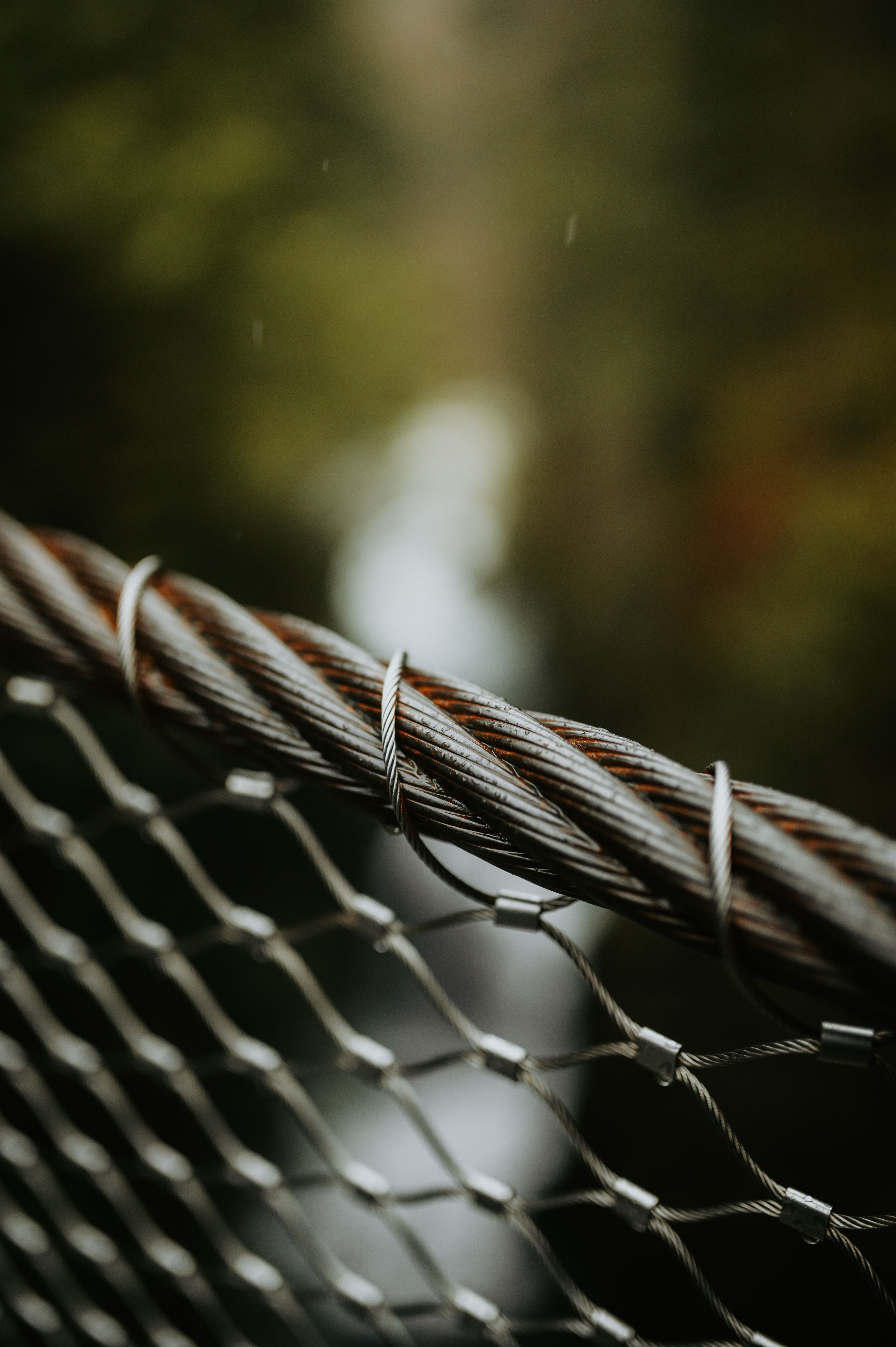 Shallow Focus Photography of Silhouette of Cyclone Wire · Free Stock Photo