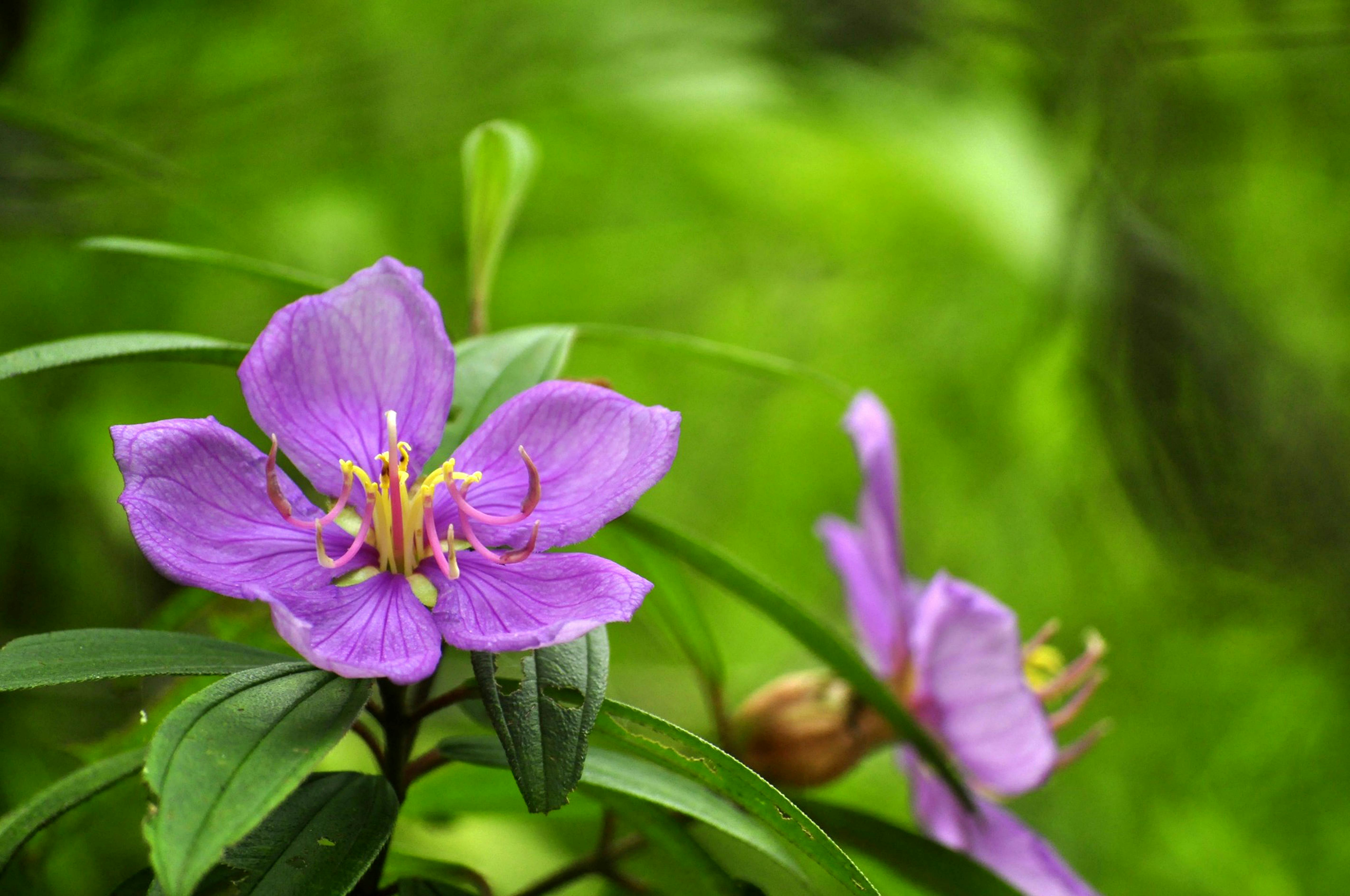 SAM Photography - 摄影