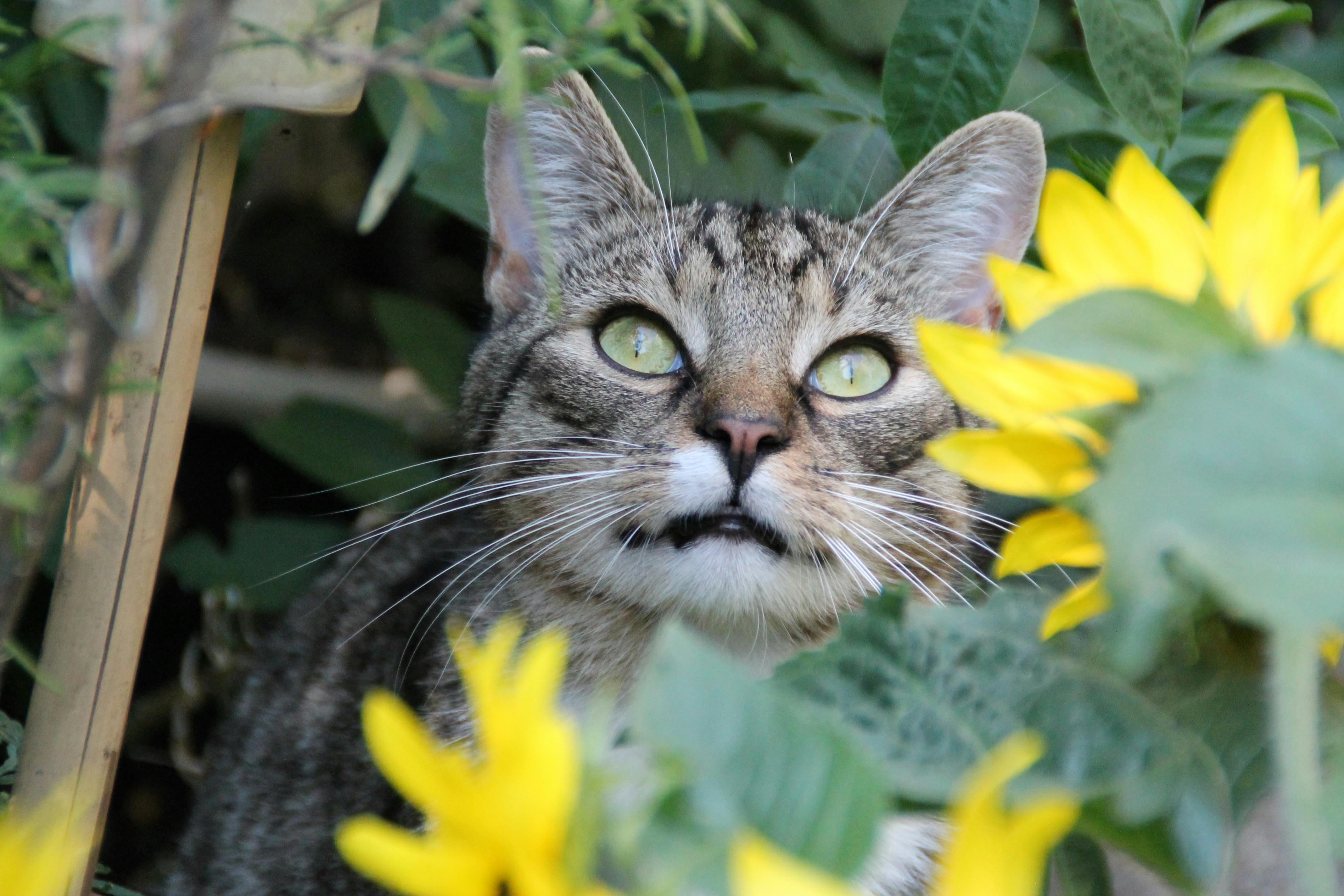 Alina B - Photography