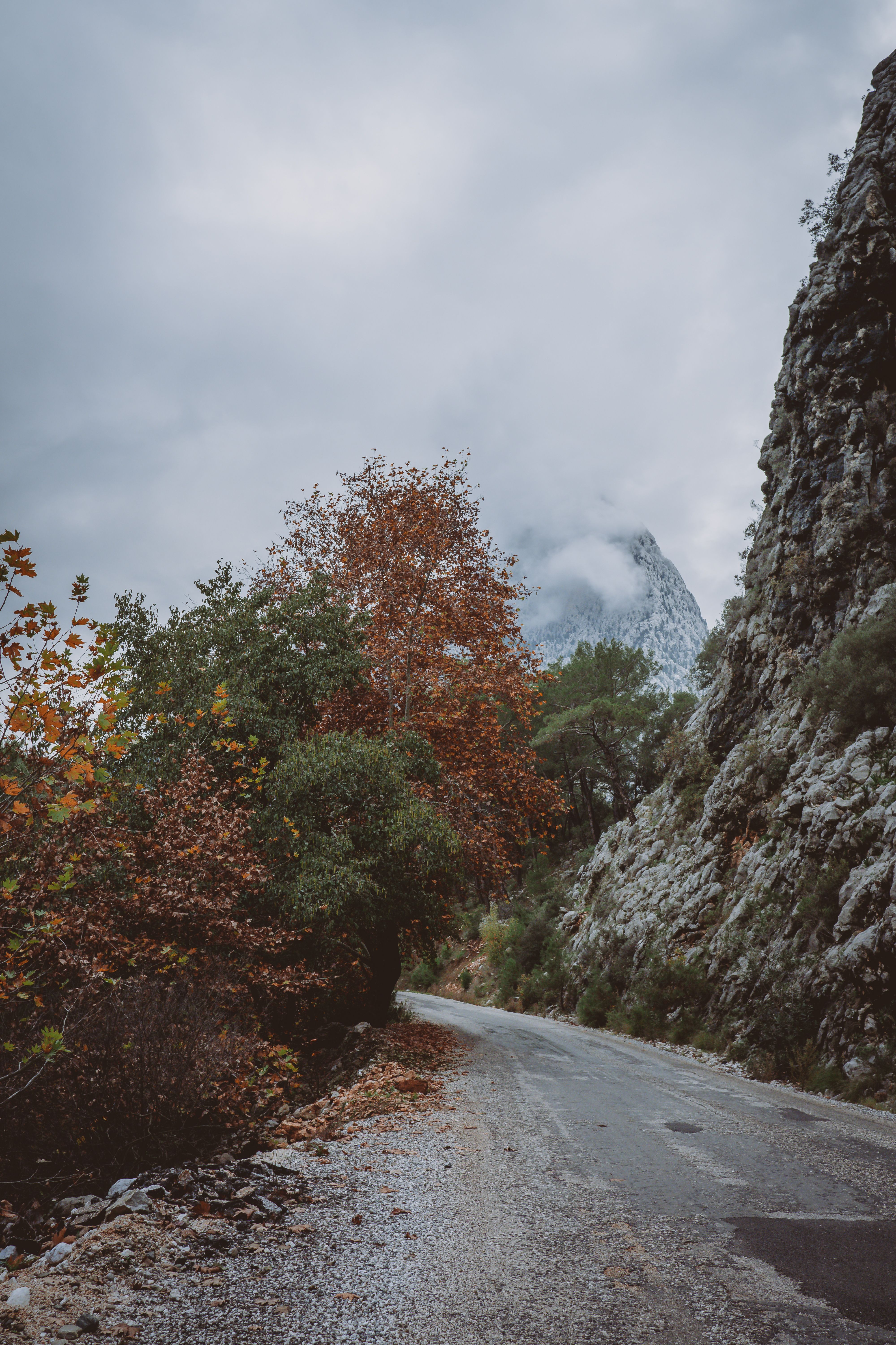 Scenic Autumn View of Limestone Cliff in Hungary · Free Stock Photo