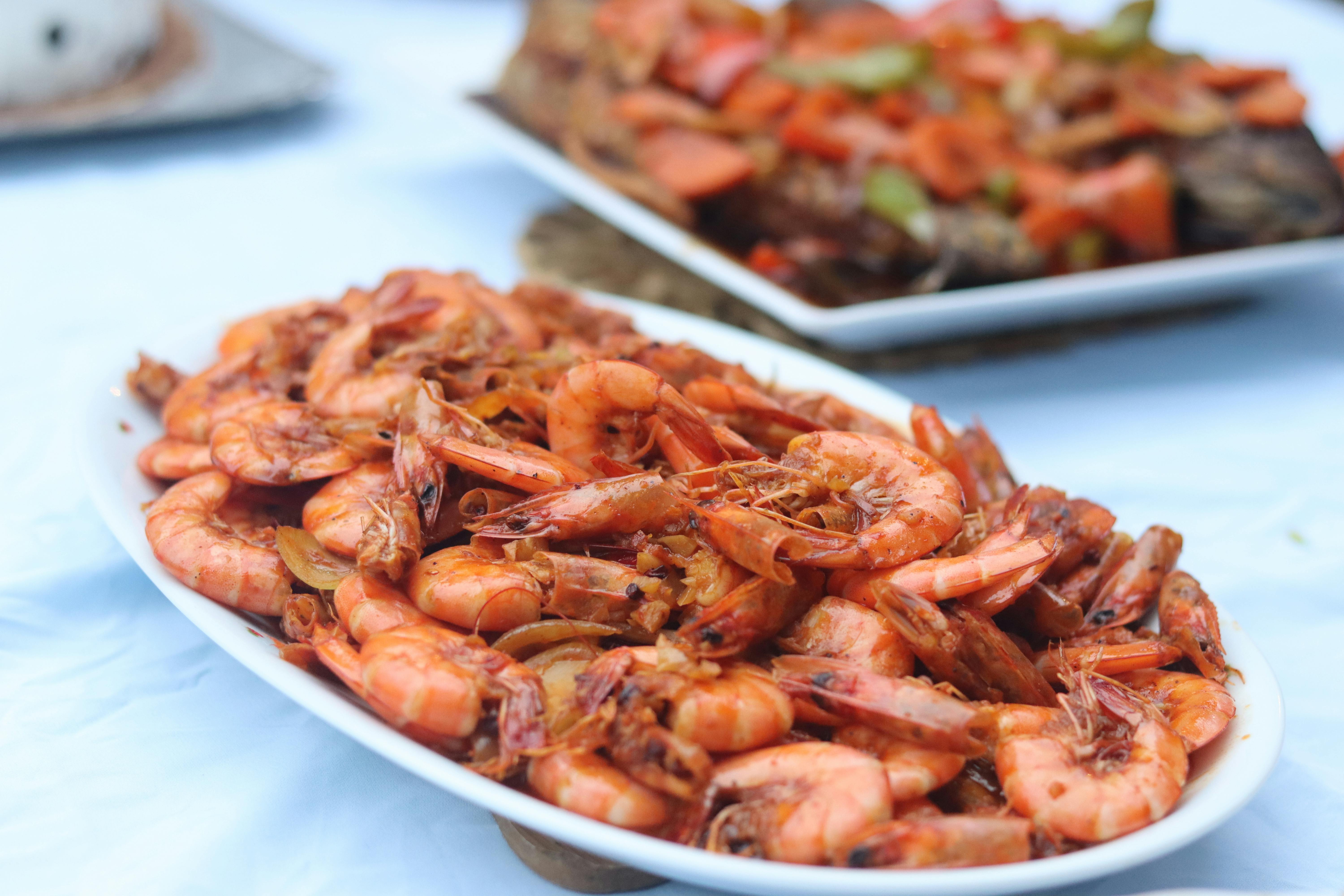 Foto de stock gratuita sobre abundancia, acompañamiento, almuerzo ...