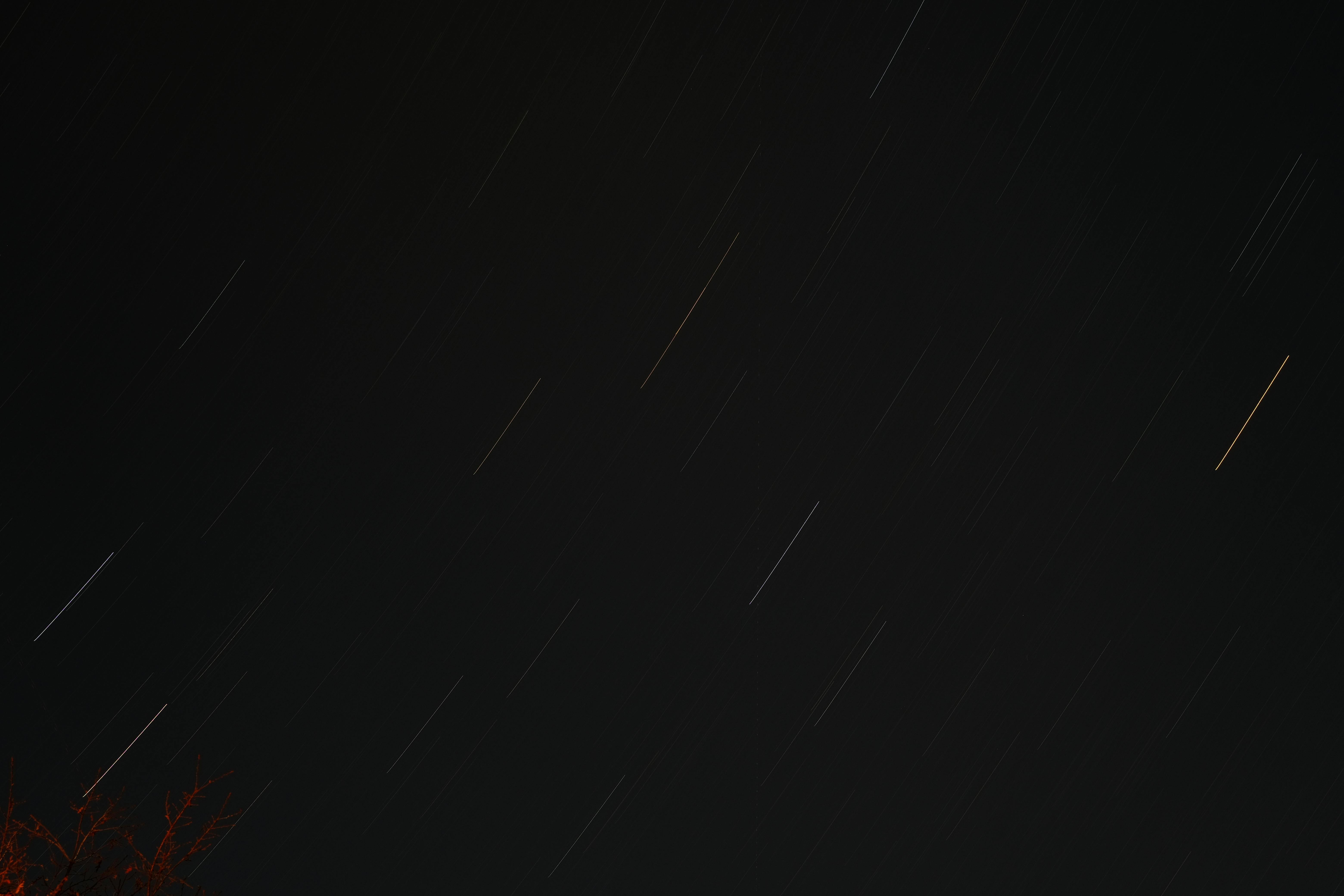 Falling Stars in the Night Sky · Free Stock Photo