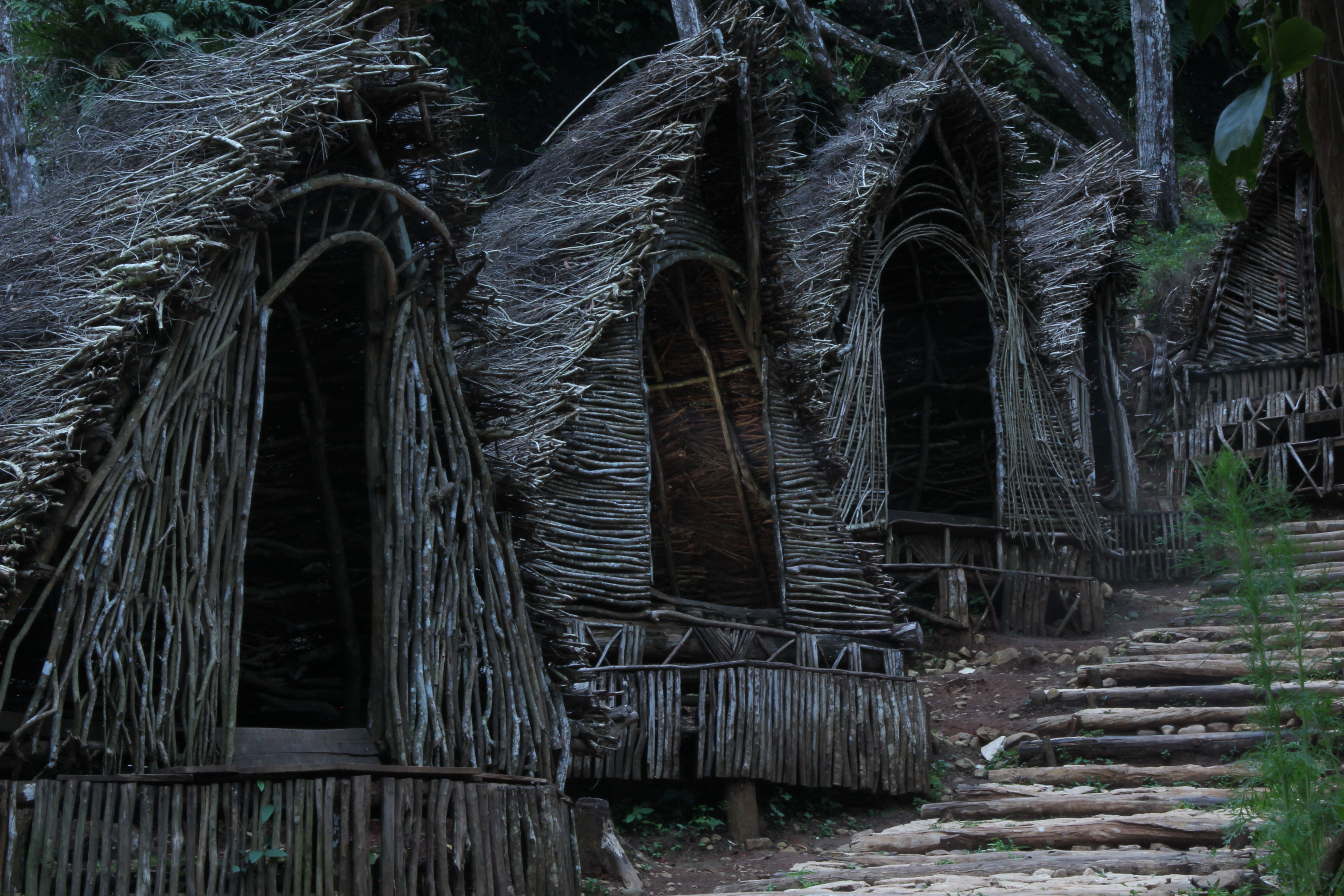 Jungle Village Photos, Download The BEST Free Jungle Village Stock ...