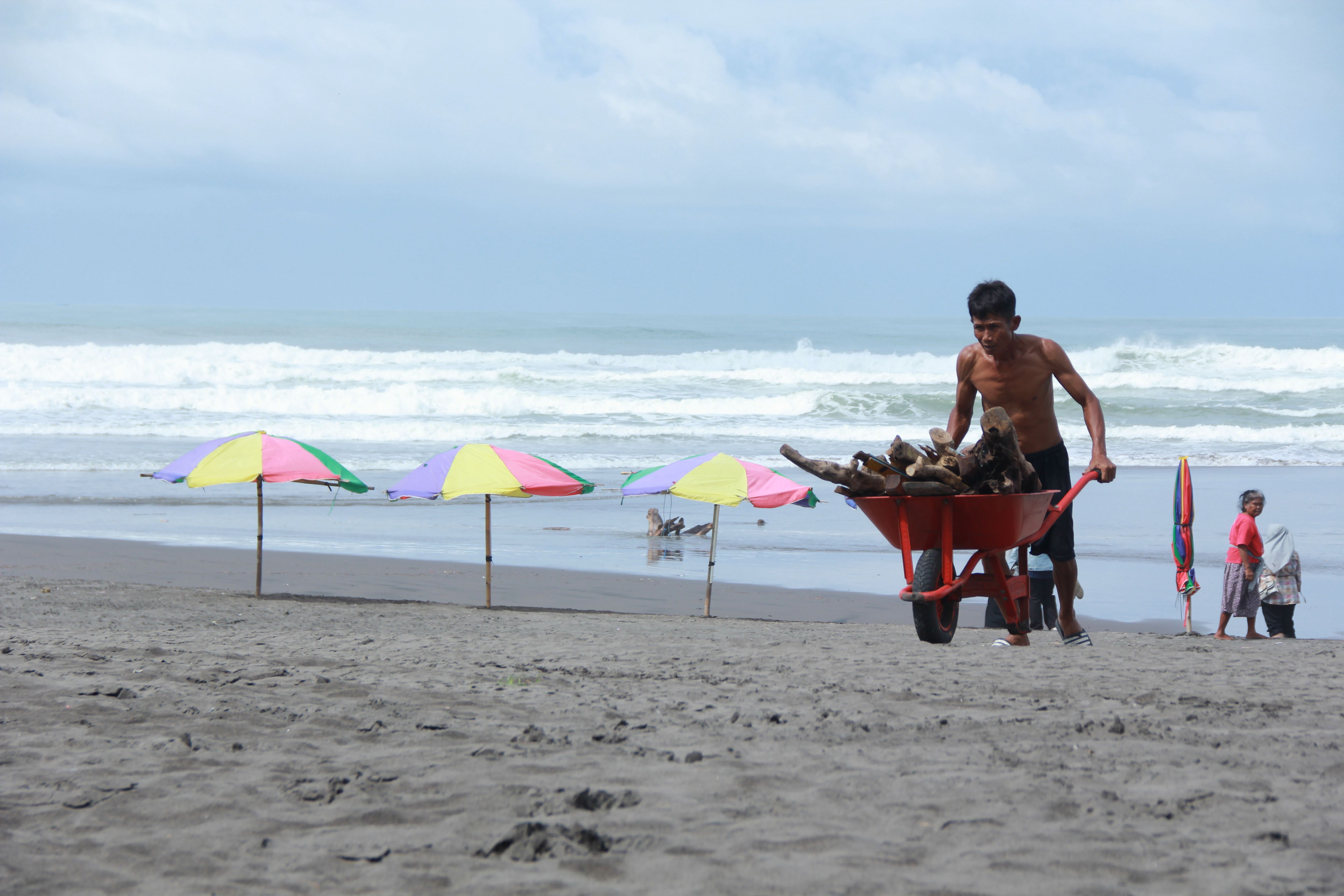 Beach Working Photos, Download The BEST Free Beach Working Stock Photos ...