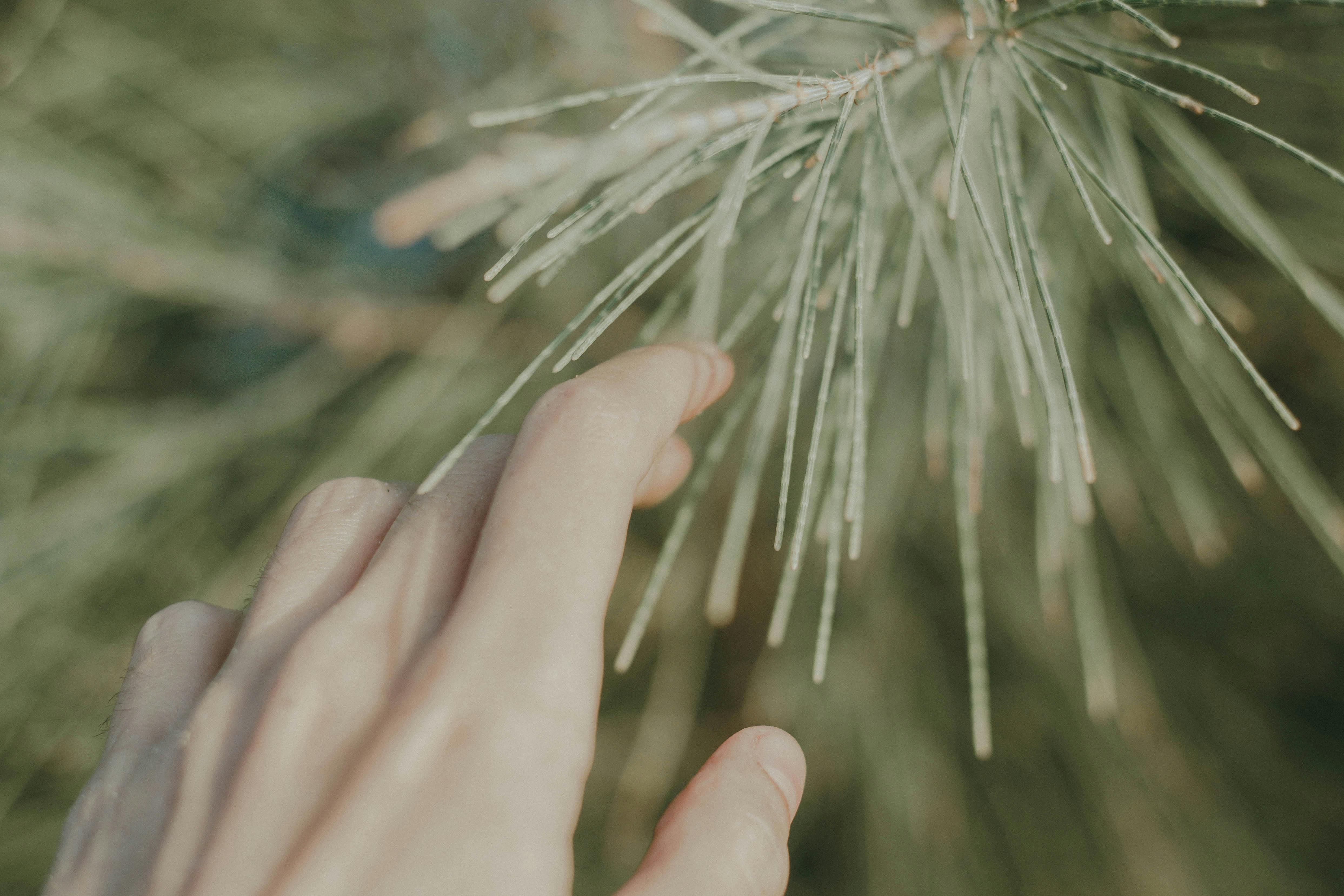 Selective Focus Photo of Person's Left Hand · Free Stock Photo