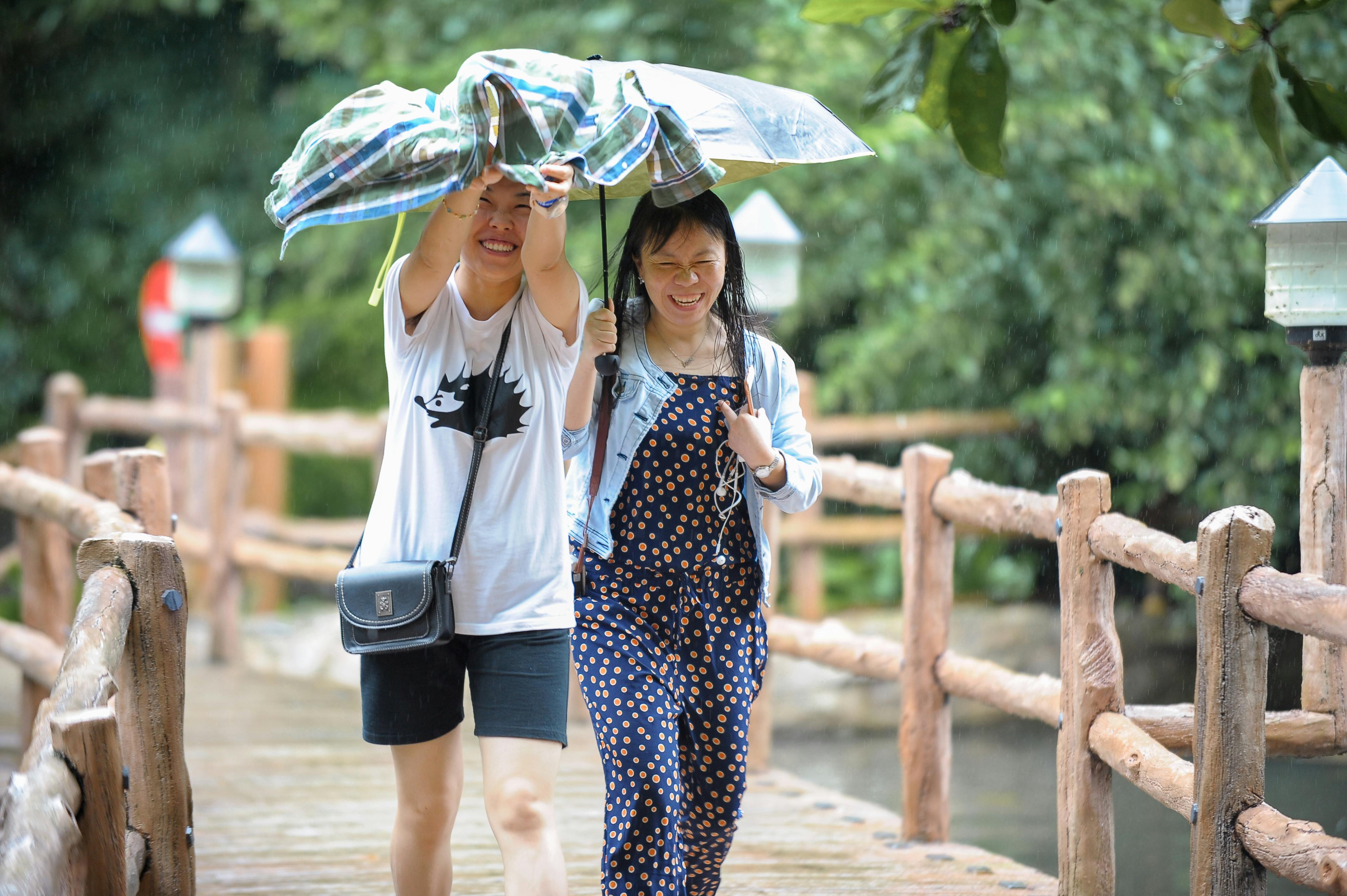 Sharing Umbrella Photos, Download The BEST Free Sharing Umbrella Stock ...