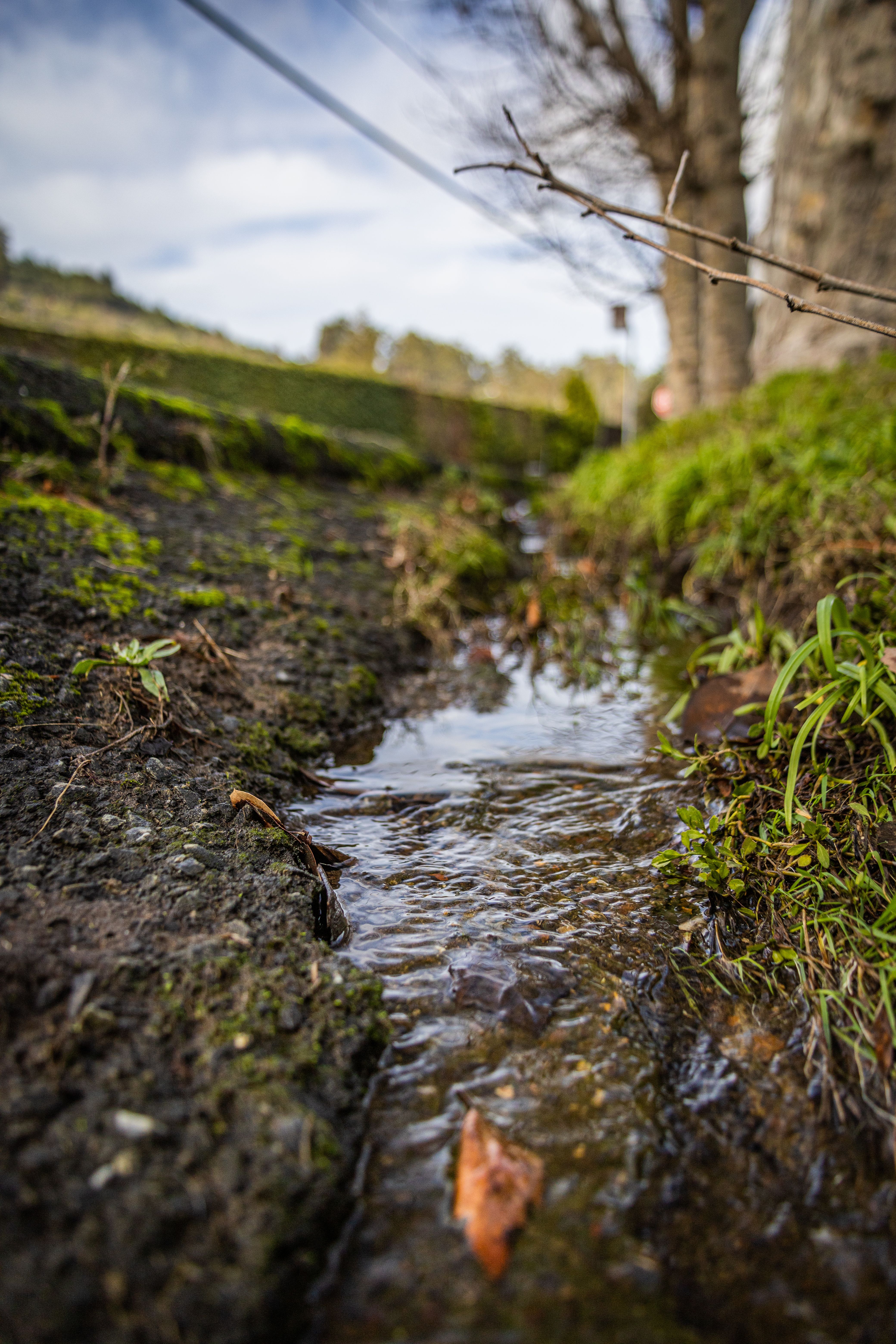 Water on Ground · Free Stock Photo