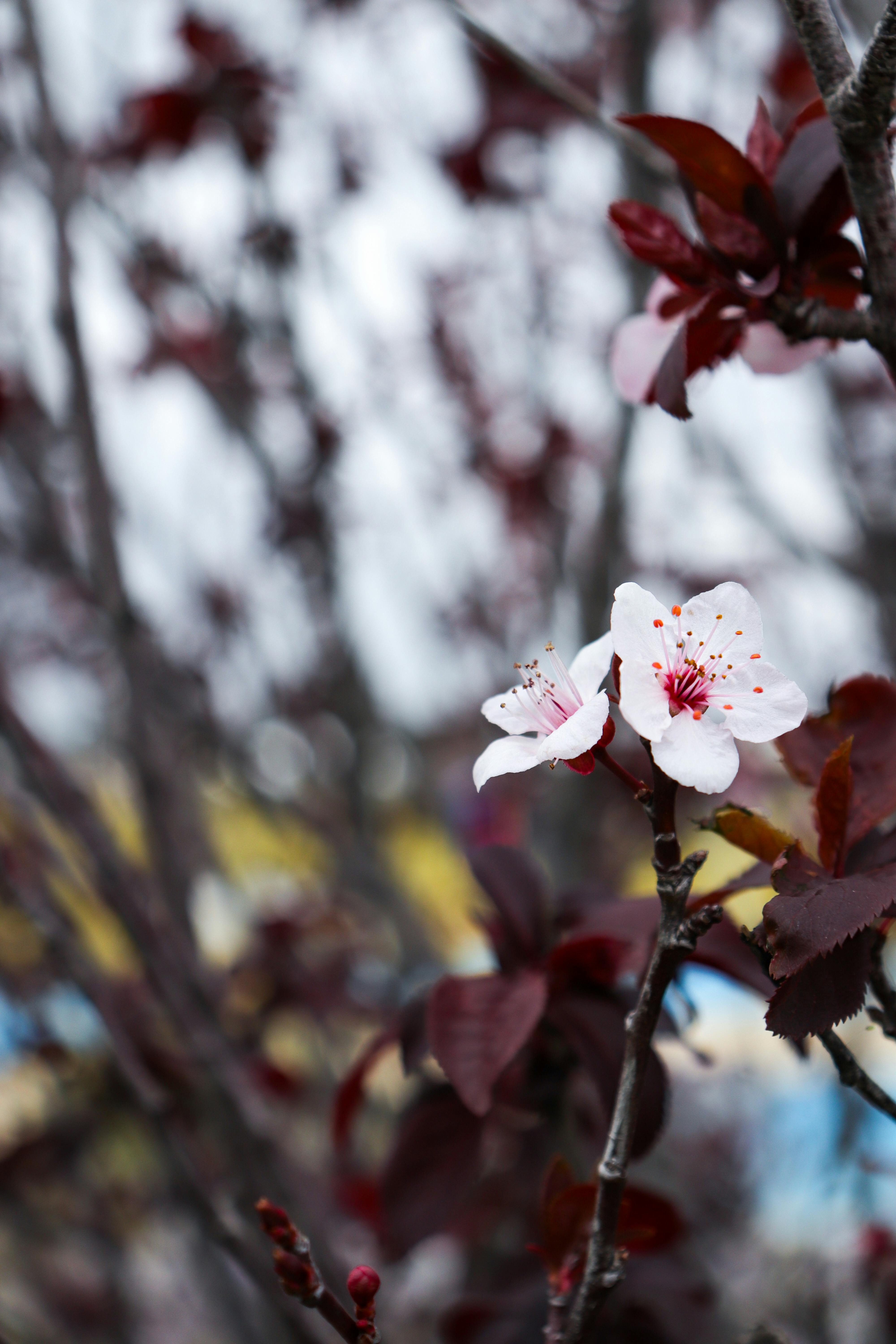 Jeffrey Lobo - Photography