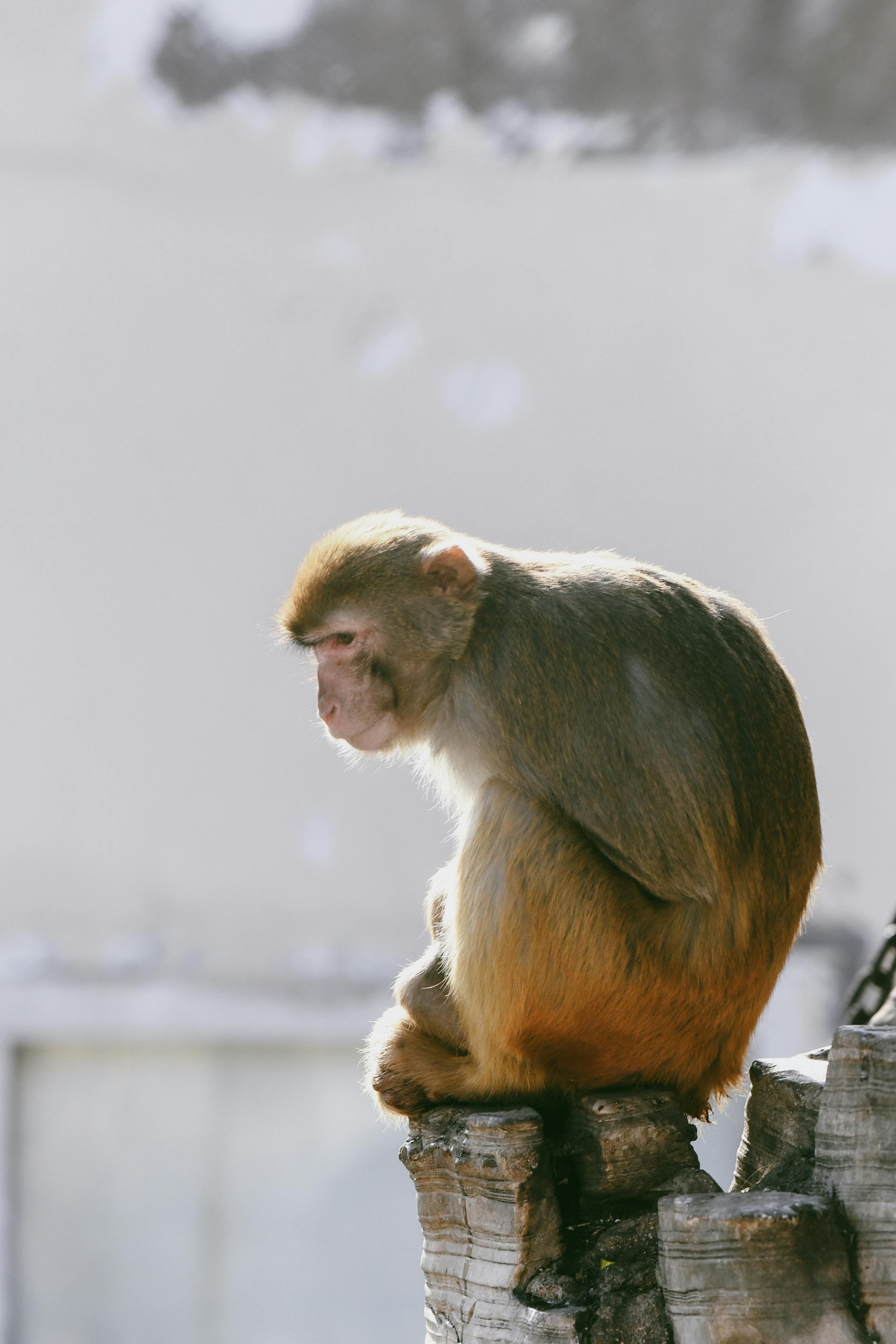 Uncle Photos, Download The BEST Free Uncle Stock Photos & HD Images