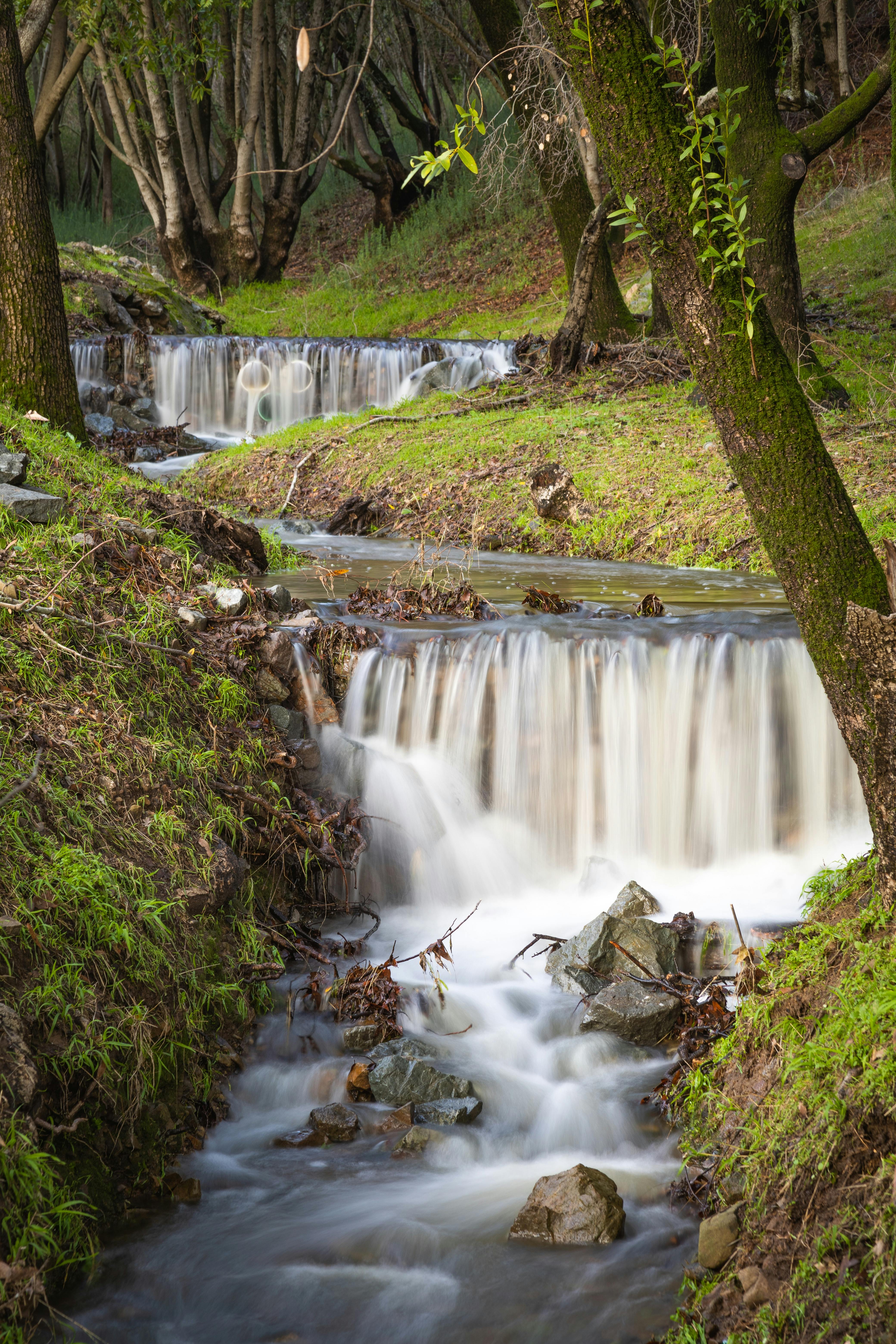 Trees around Stream with Waterfall · Free Stock Photo