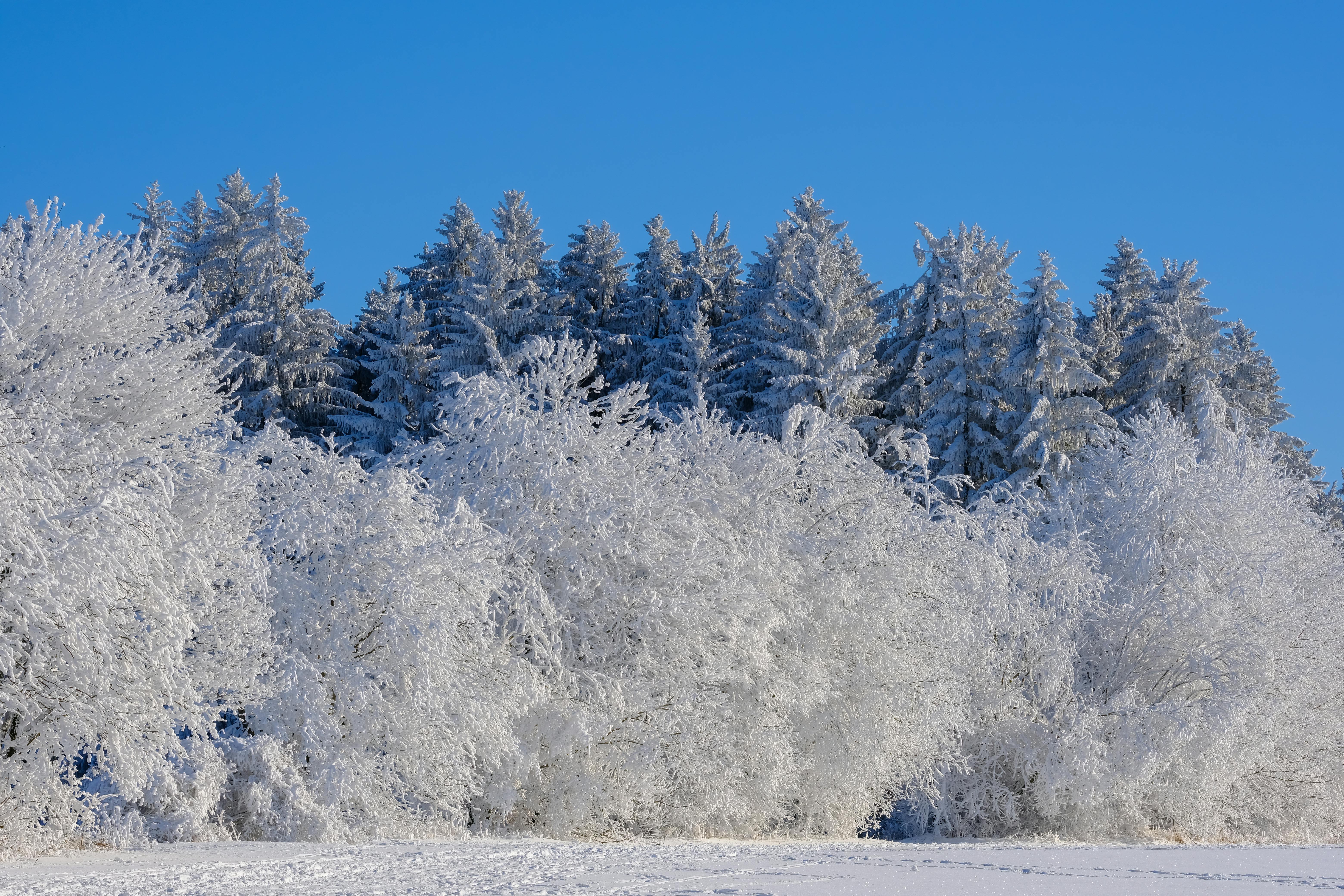 Frozen Pole Photos, Download Free Frozen Pole Stock Photos & HD Images