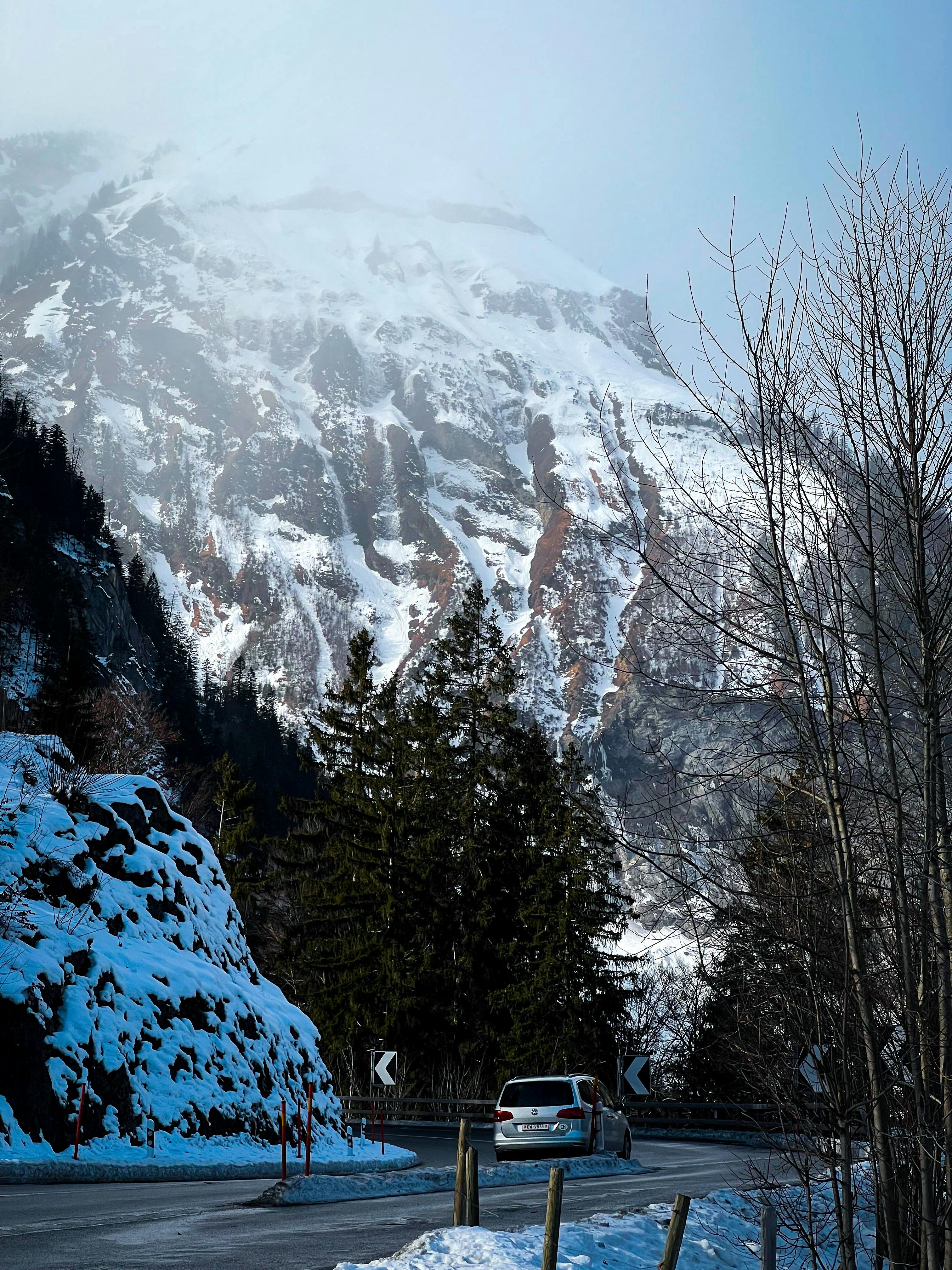 Trees and Mountains in Snow behind · Free Stock Photo