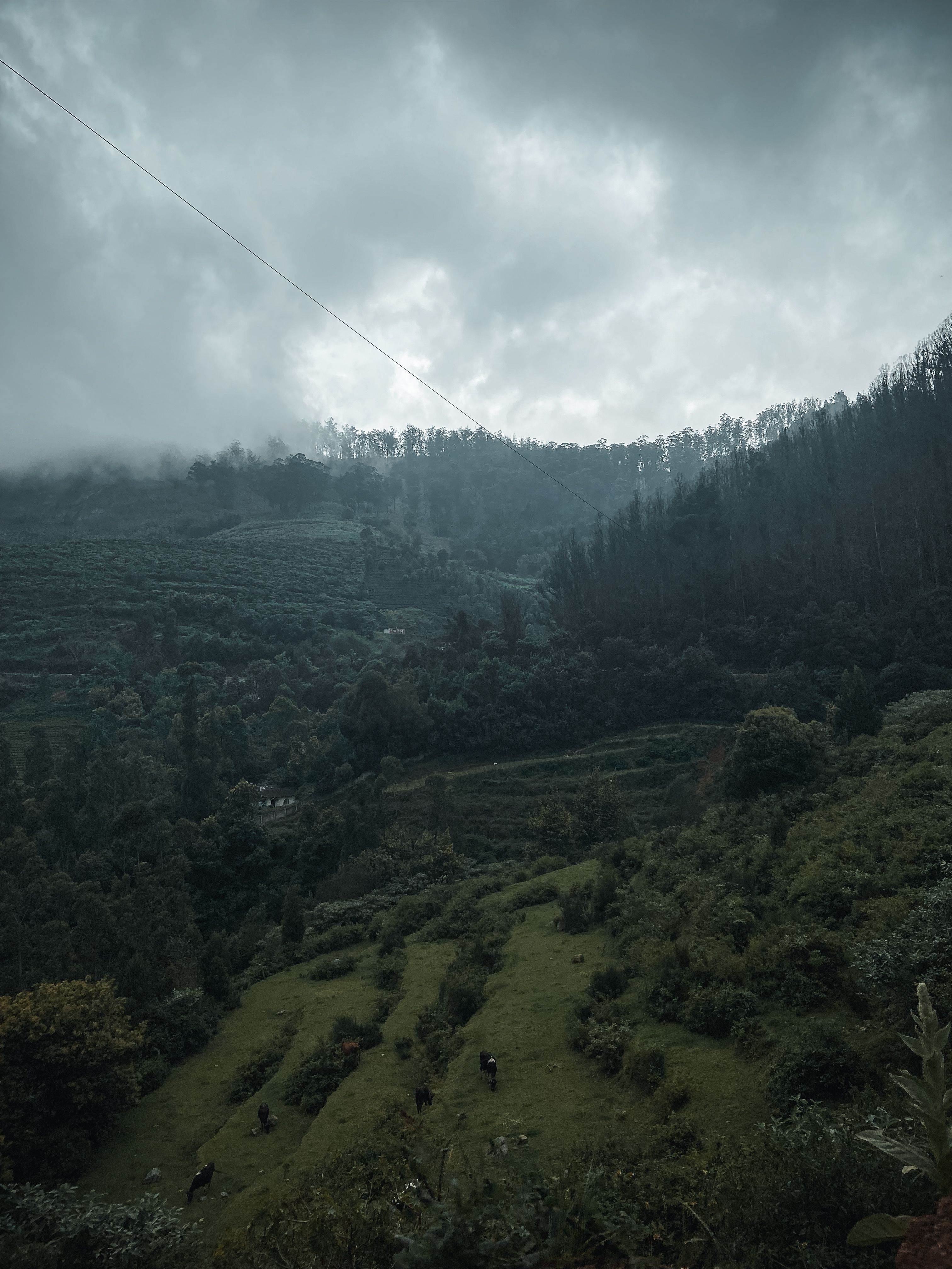 A photo of a green valley with trees and clouds · Free Stock Photo