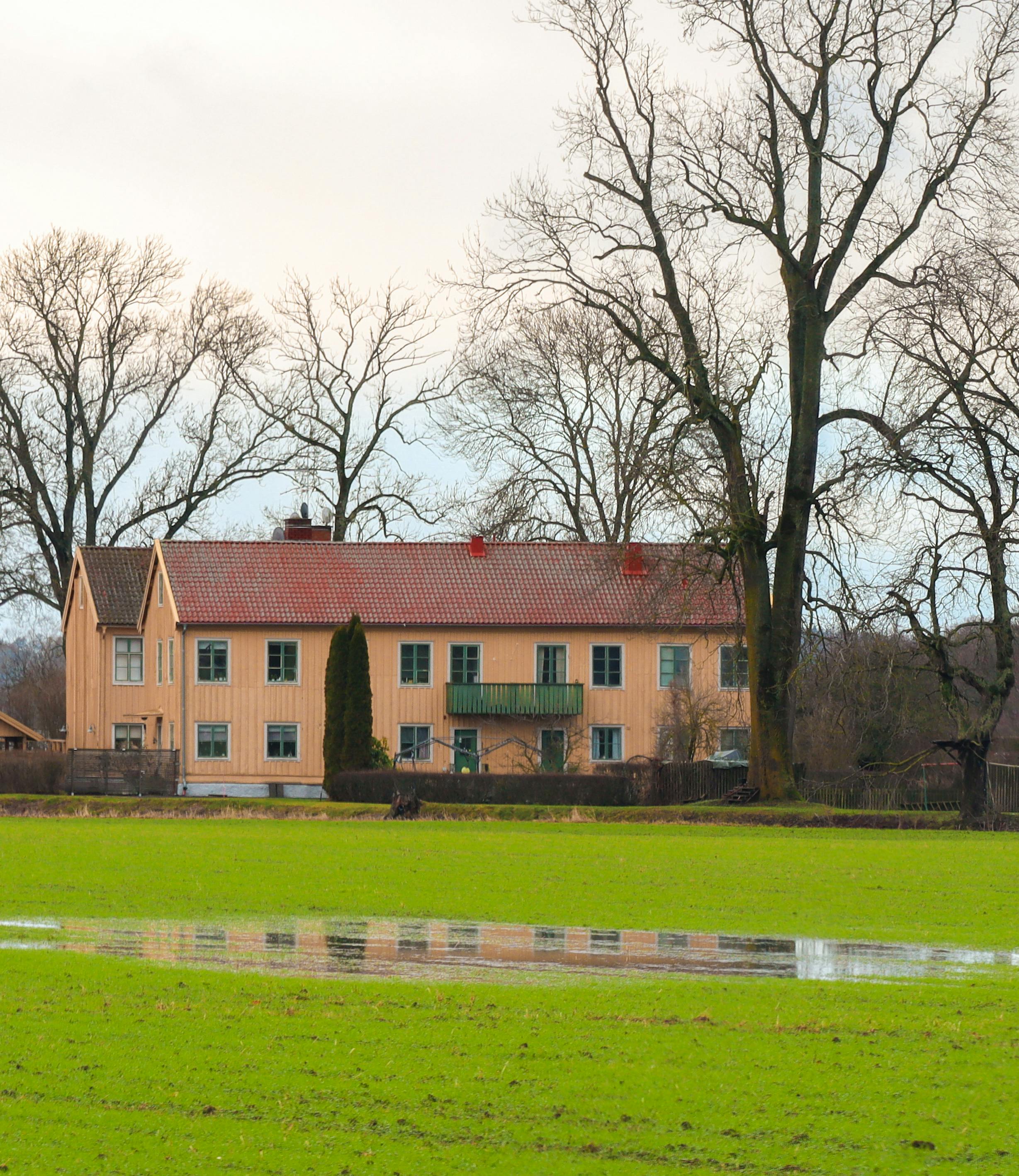 Puddle on Grass near Building · Free Stock Photo