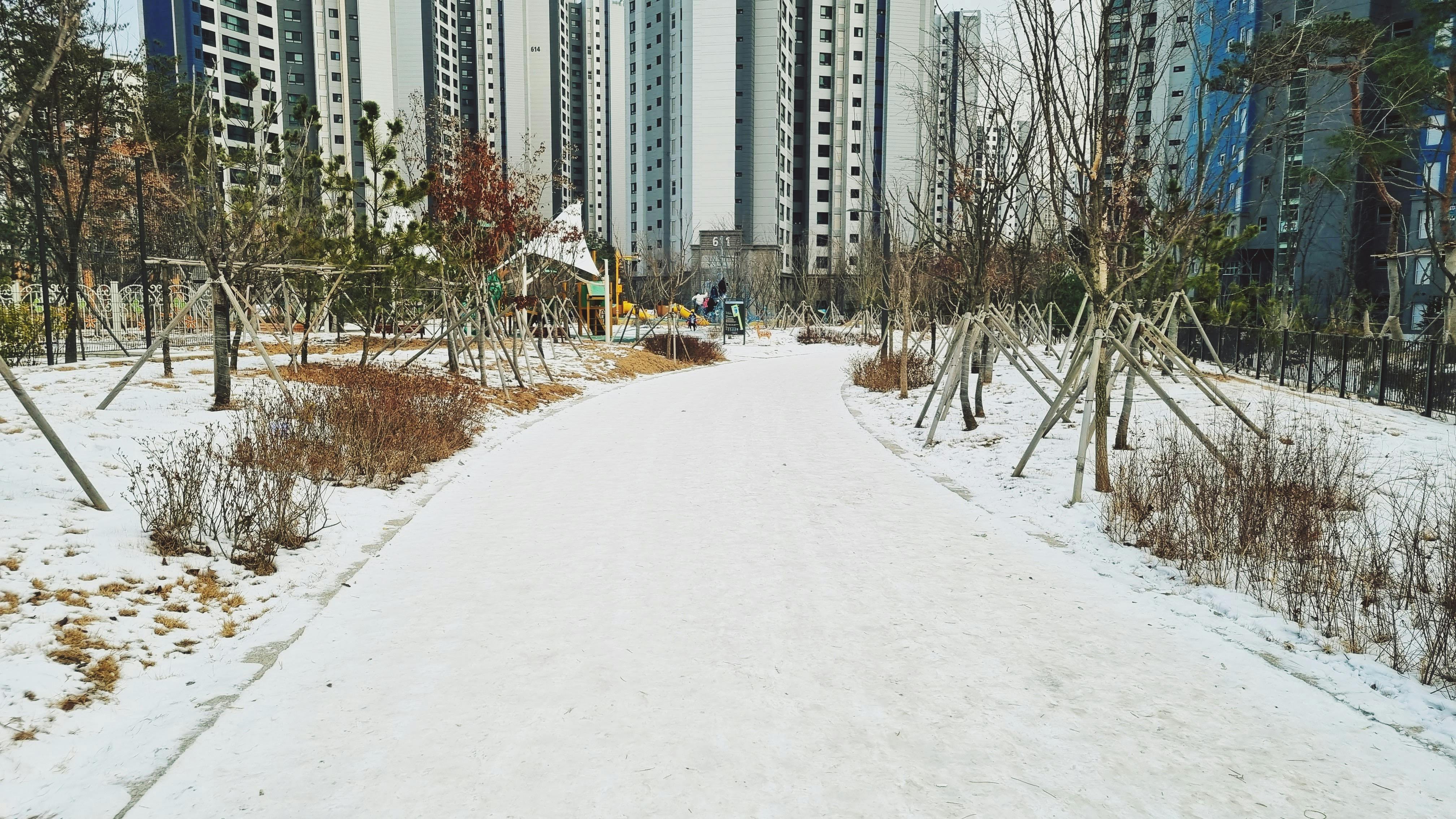 3 Pathway Photos, Download The BEST Free 3 Pathway Stock Photos & HD Images