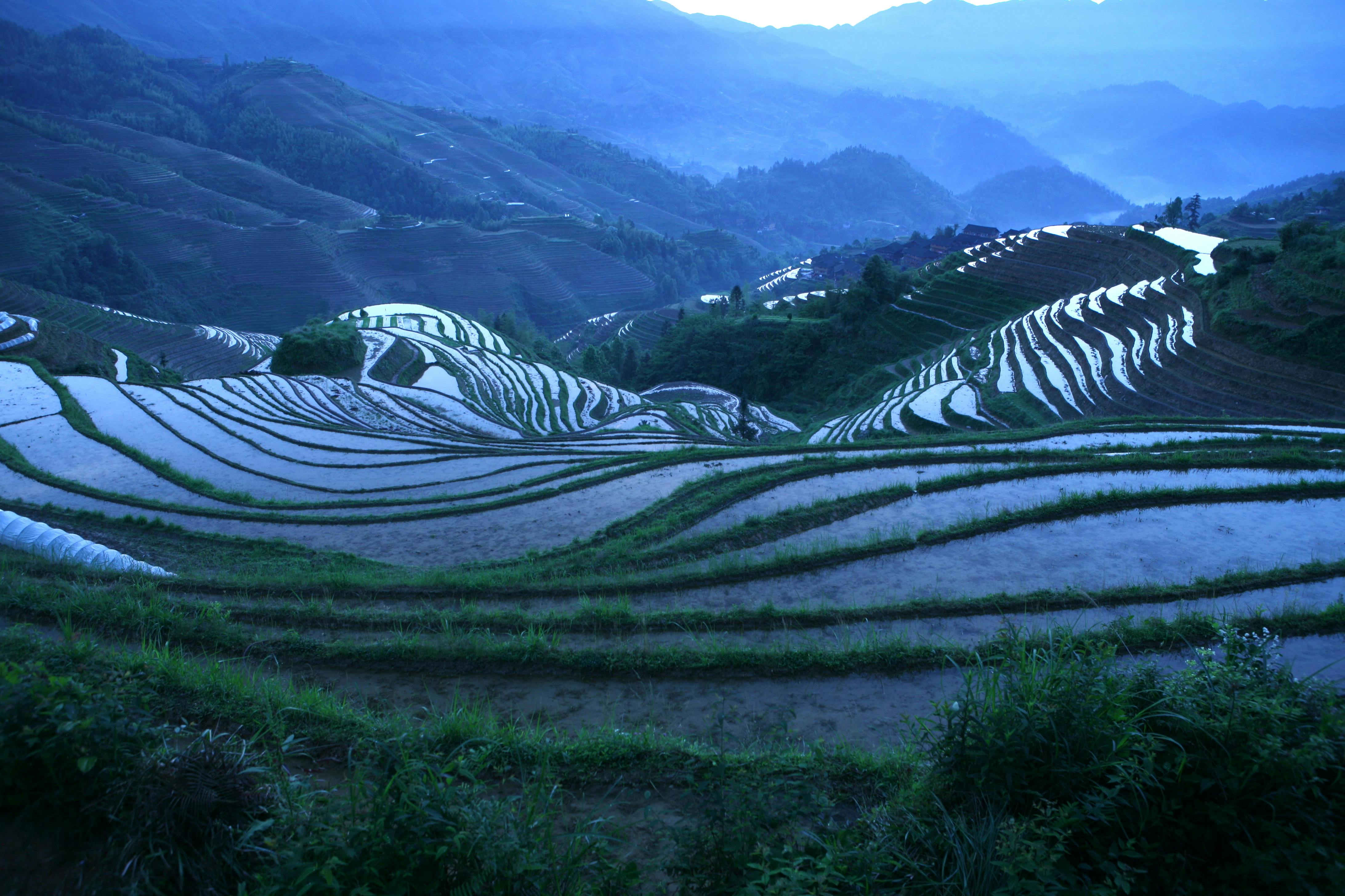 Terraces During Sunrise · Free Stock Photo