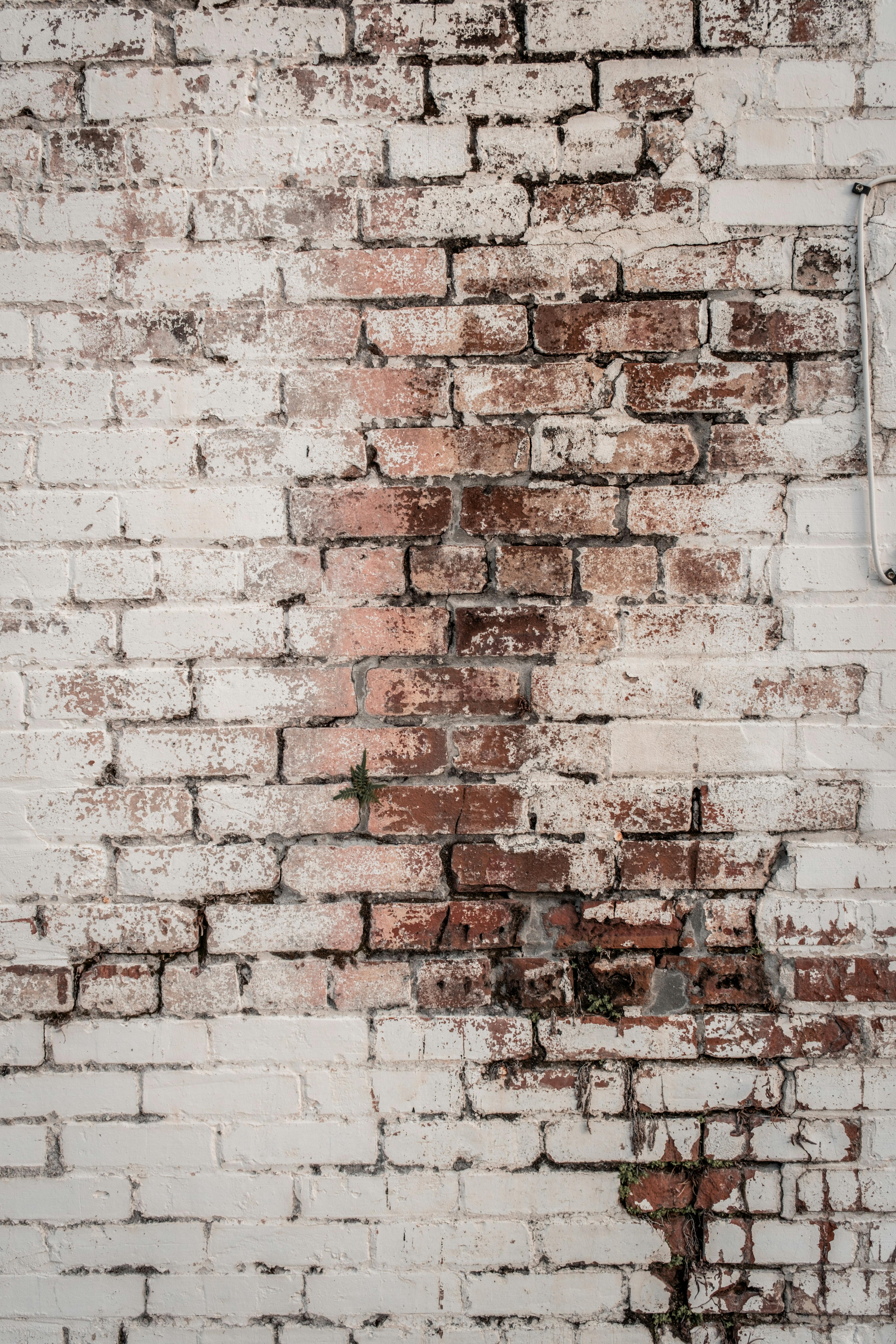 Rough Brick Wall · Free Stock Photo