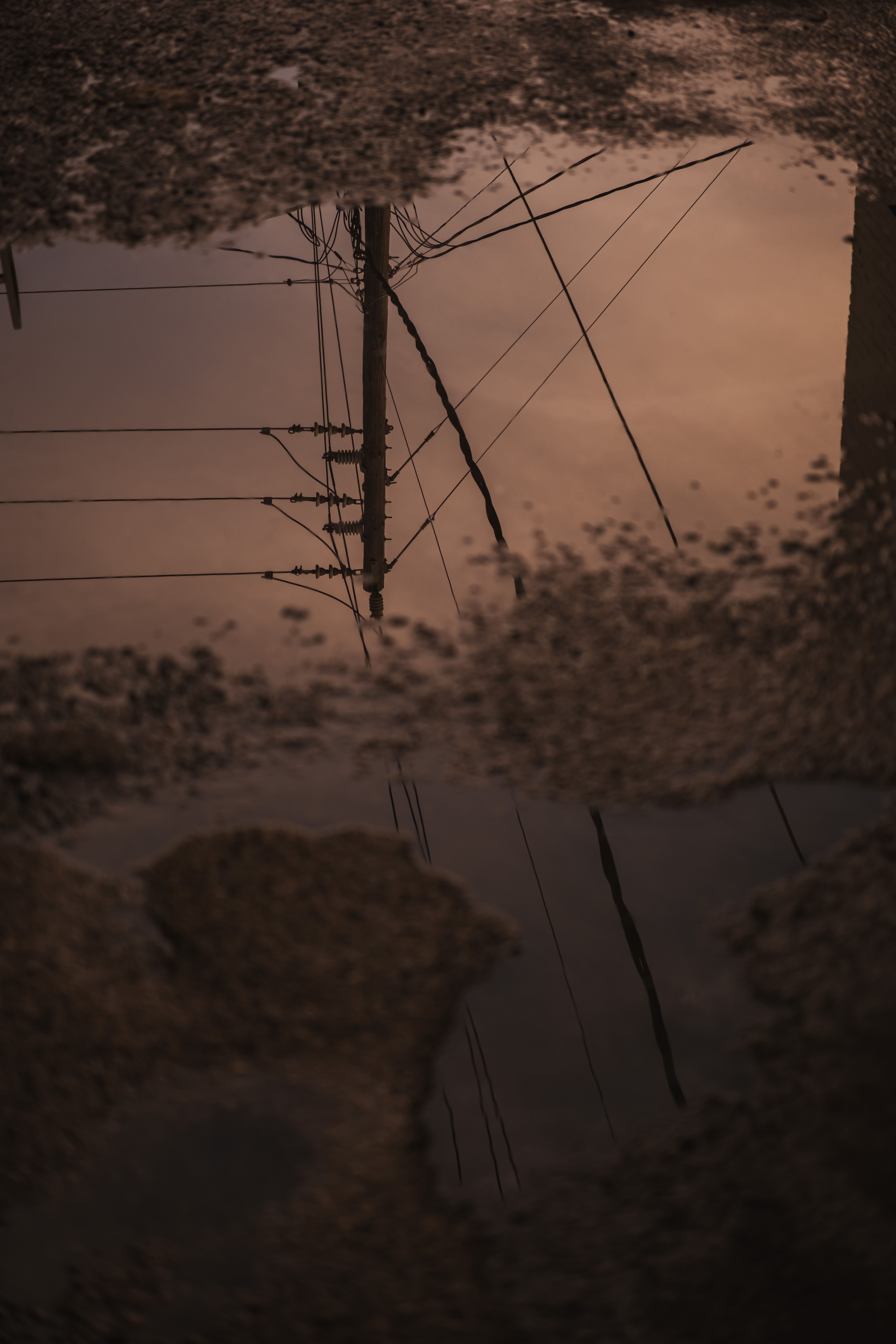 Electric Line Reflecting in Puddle · Free Stock Photo