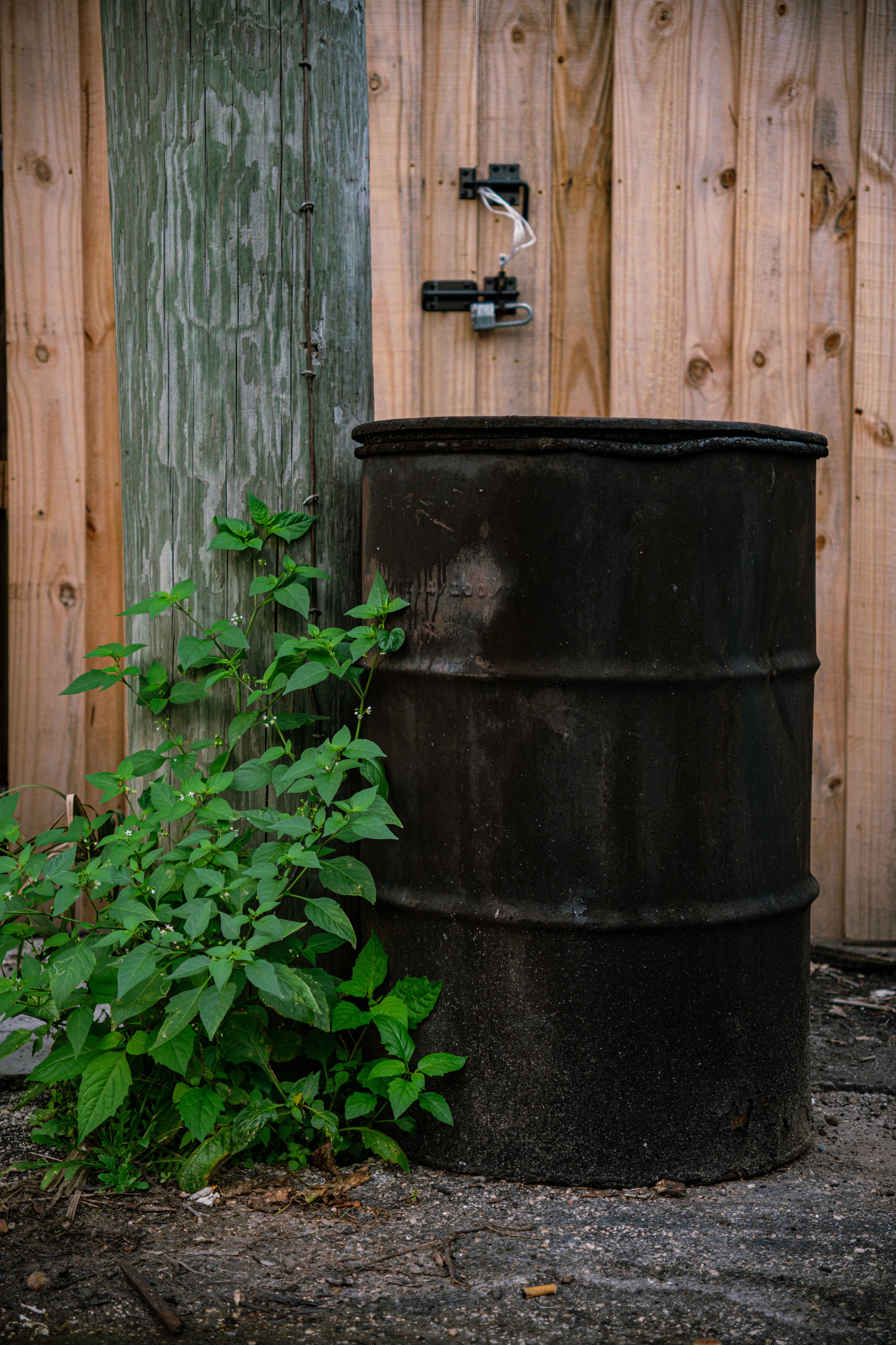 Rusty Barrel by Wooden Fence · Free Stock Photo