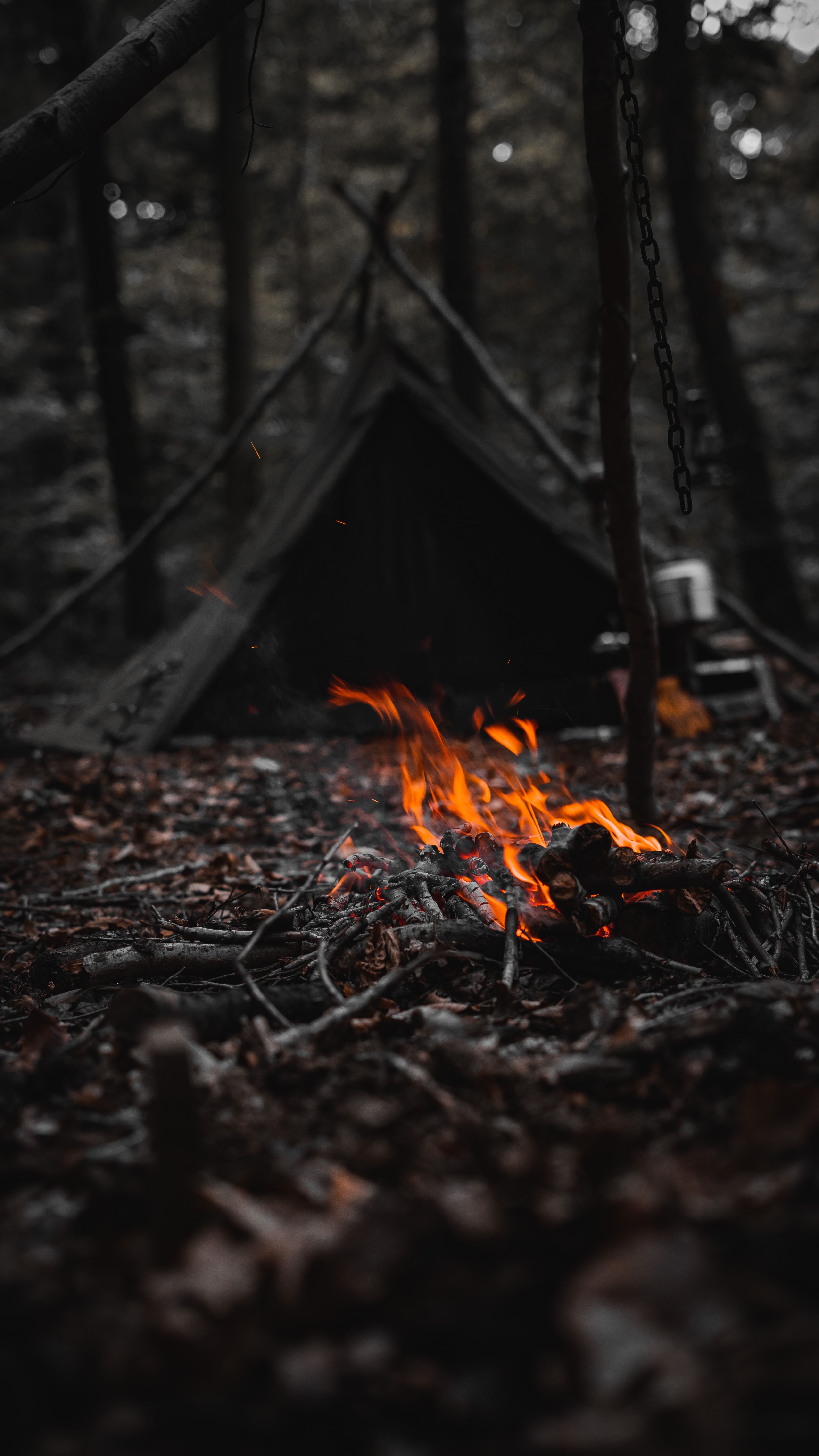 Bonfire on Green Grass Field · Free Stock Photo