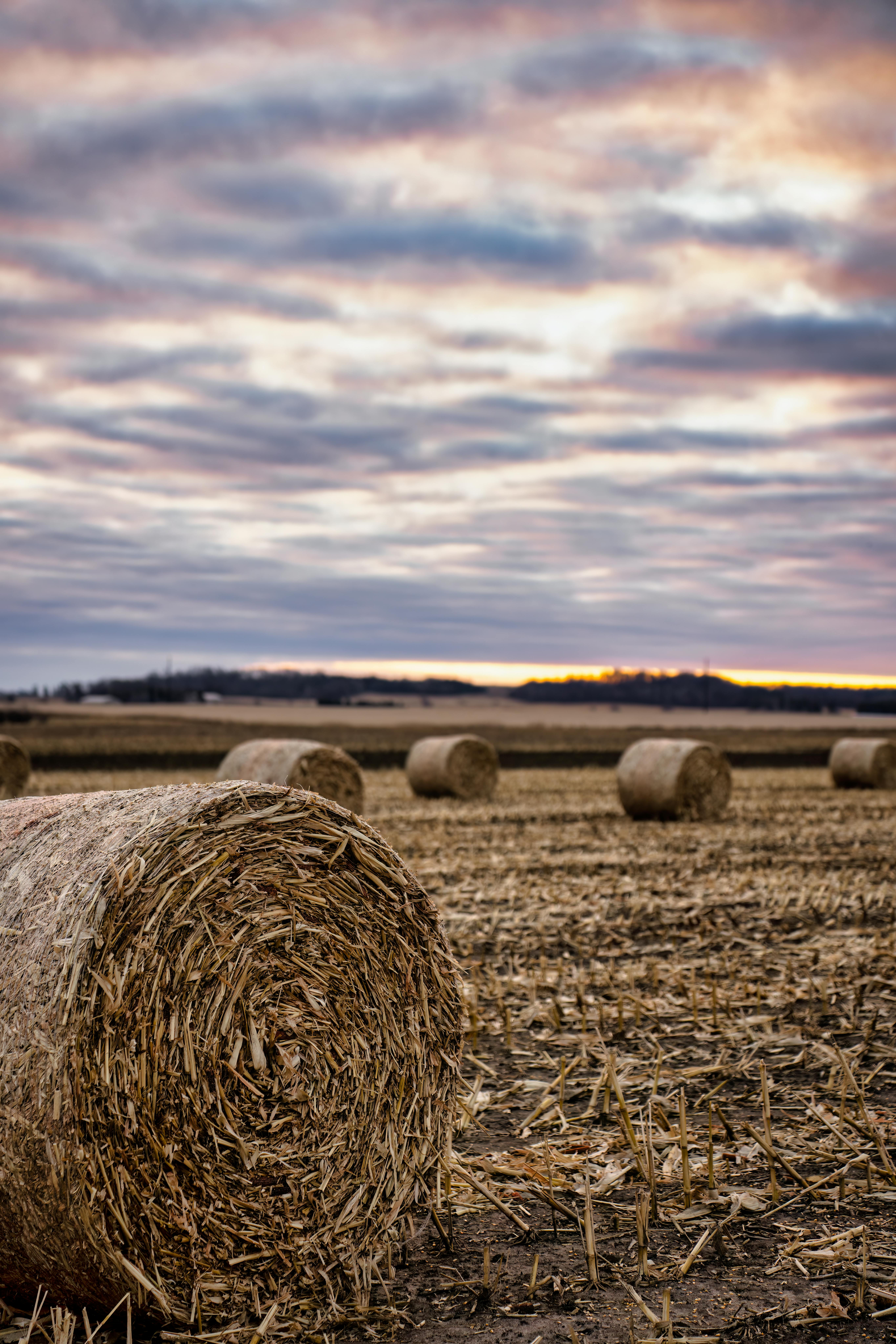 Hayfield During Sunset · Free Stock Photo