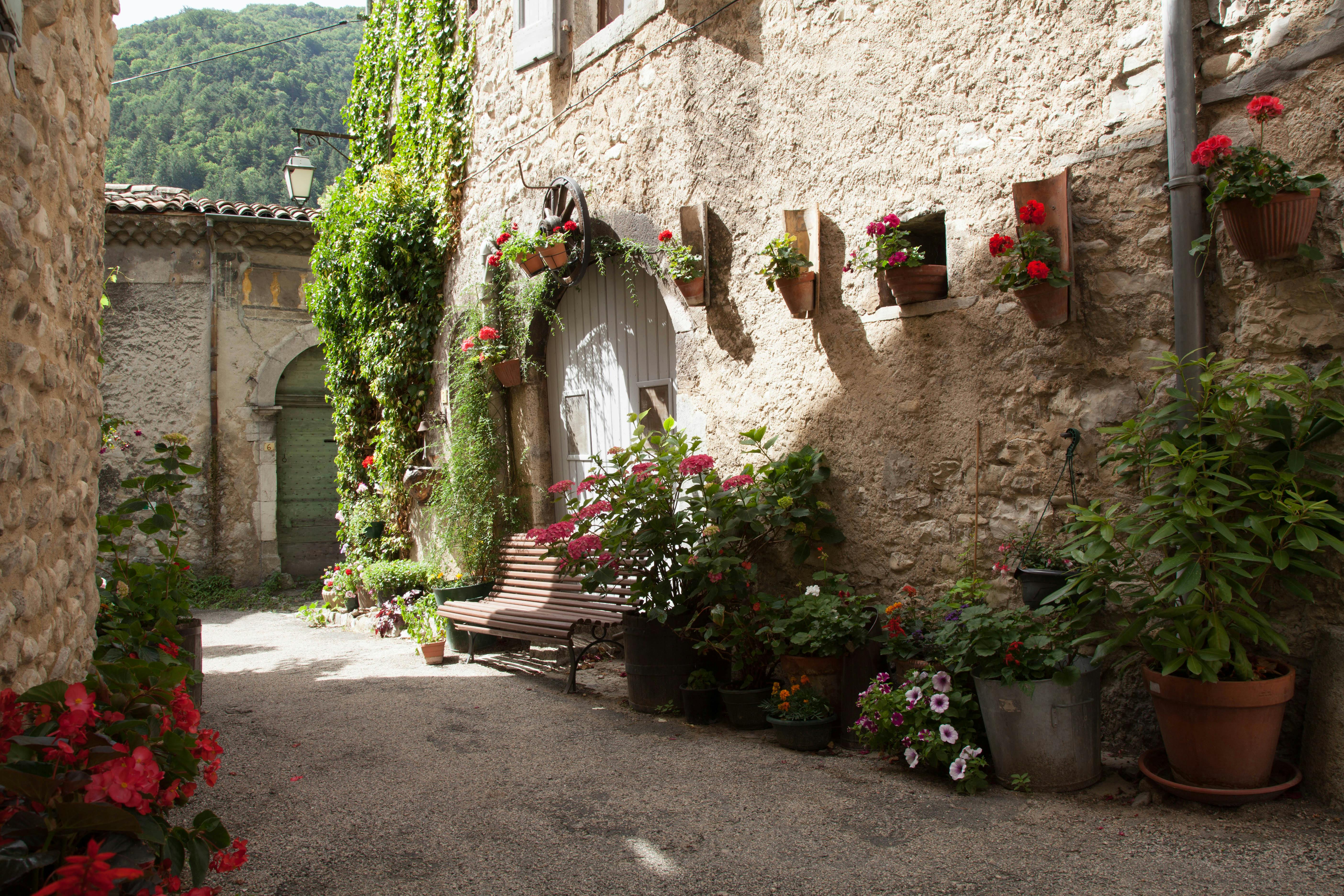 PHILIPPE SERRAND - 摄影