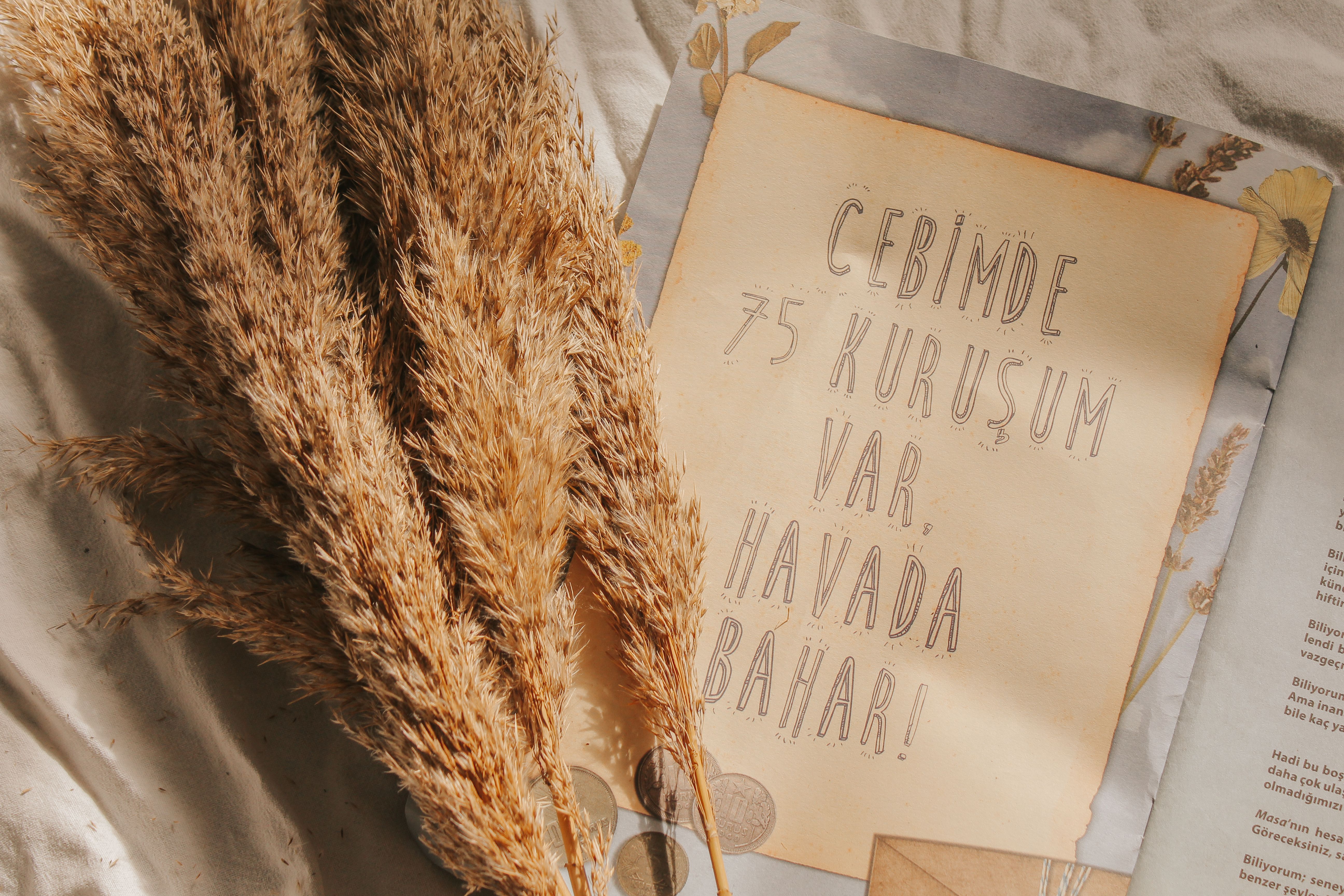 Open Magazine and Dry Wheat Spikes on Bedding · Free Stock Photo