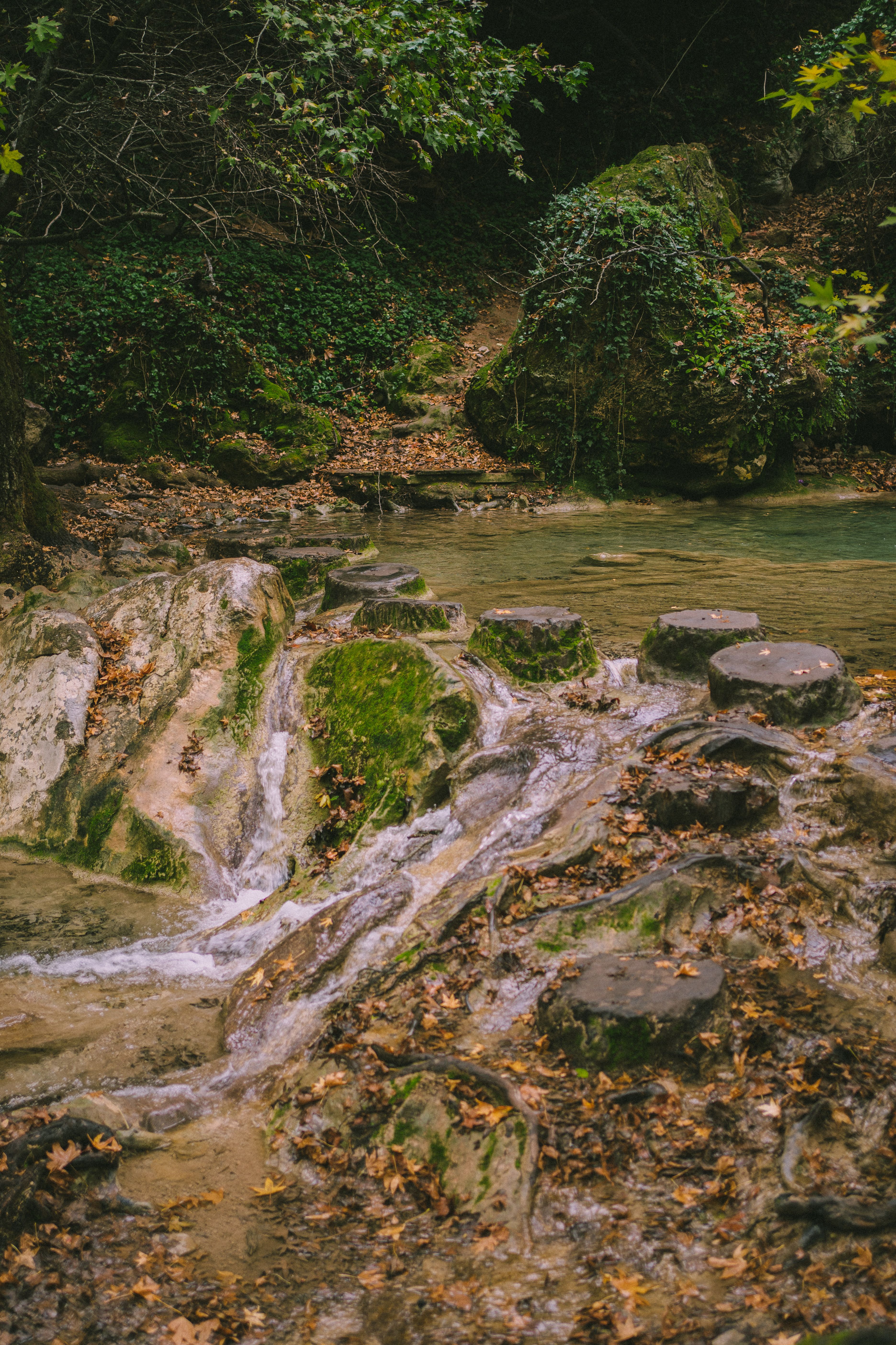 Fotografi Pemandangan Air Terjun Dikelilingi Tumbuhan Berdaun Hijau ...