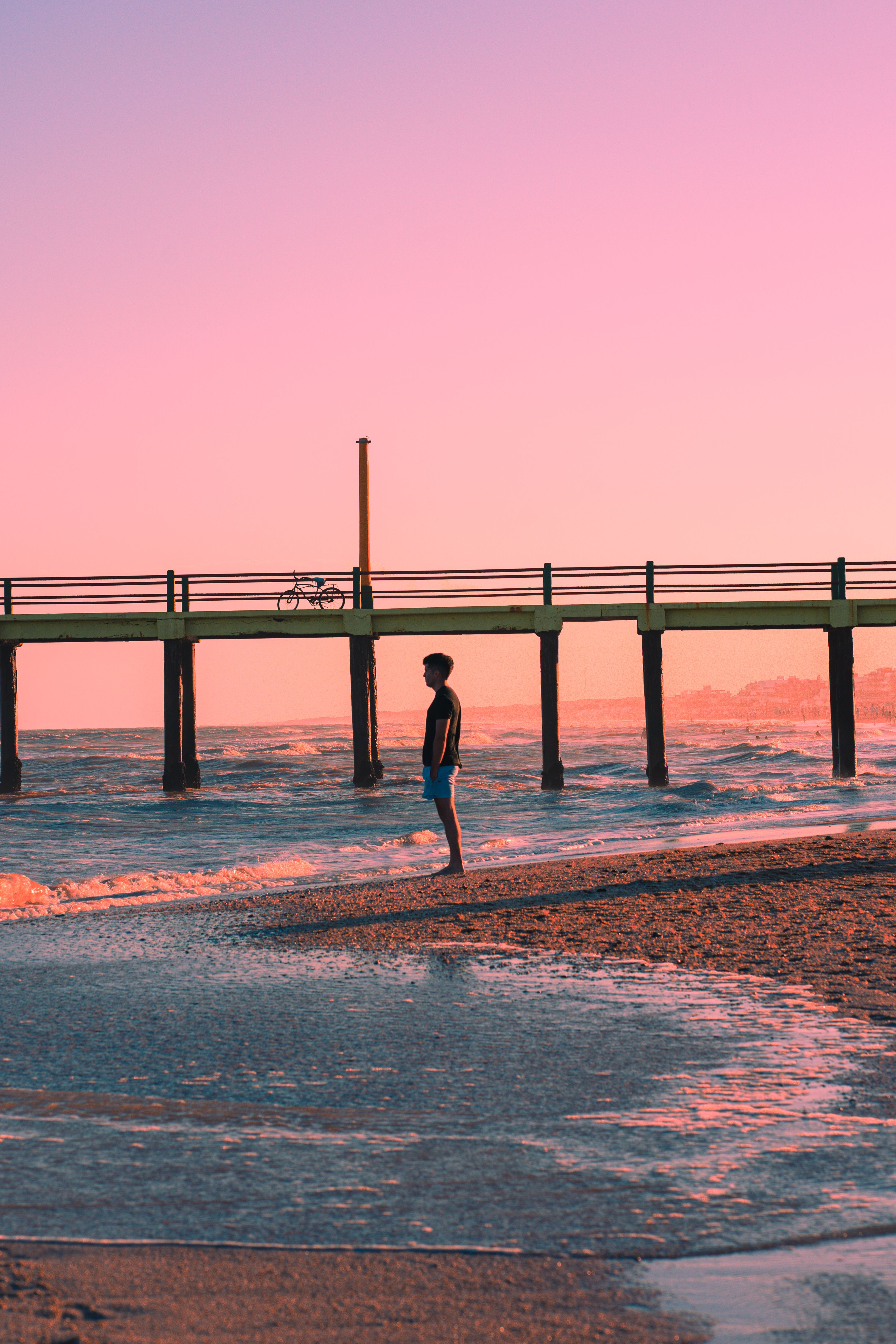 Person Standing on Seashore · Free Stock Photo