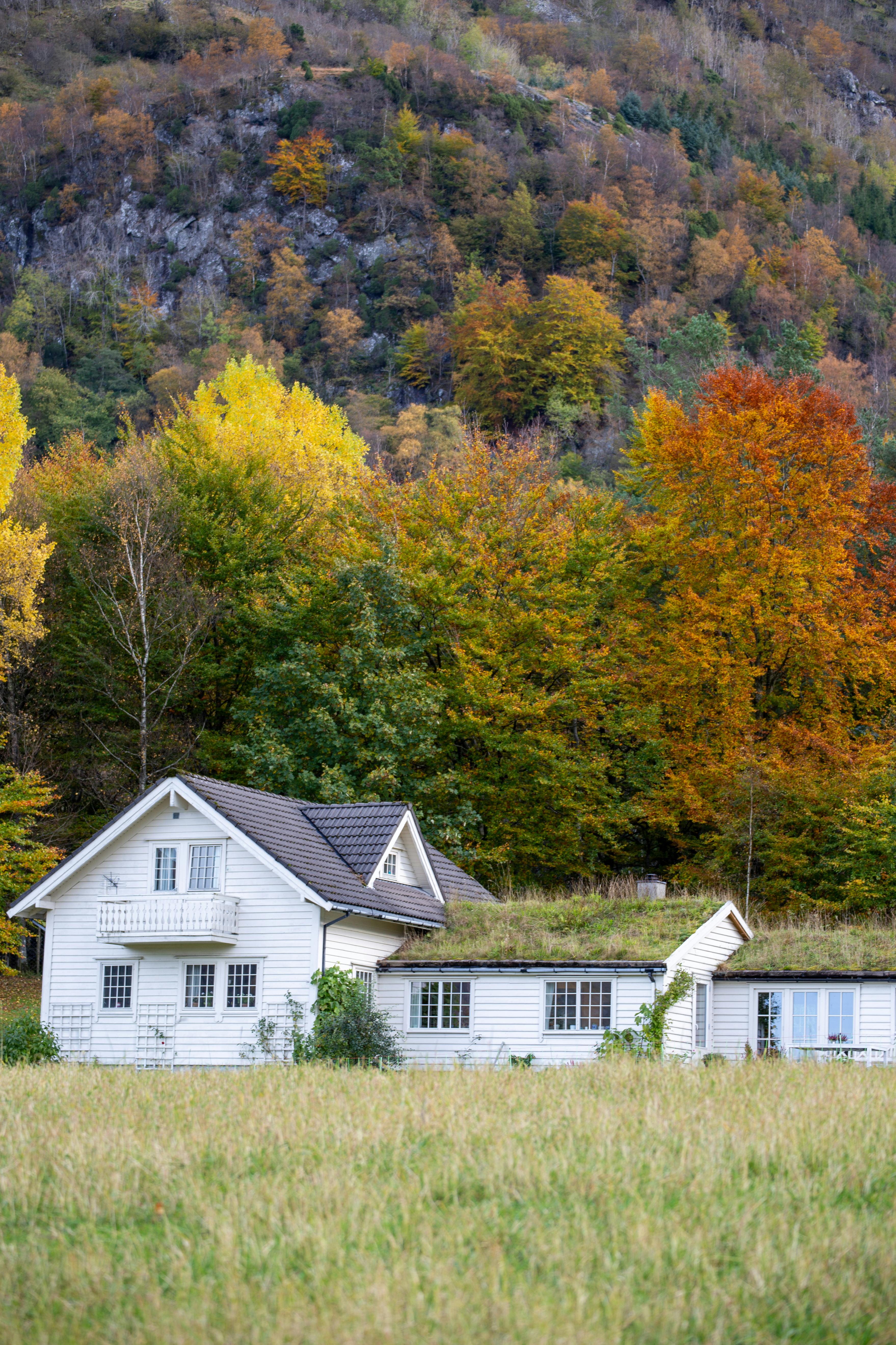 House by Forest in Autumn · Free Stock Photo