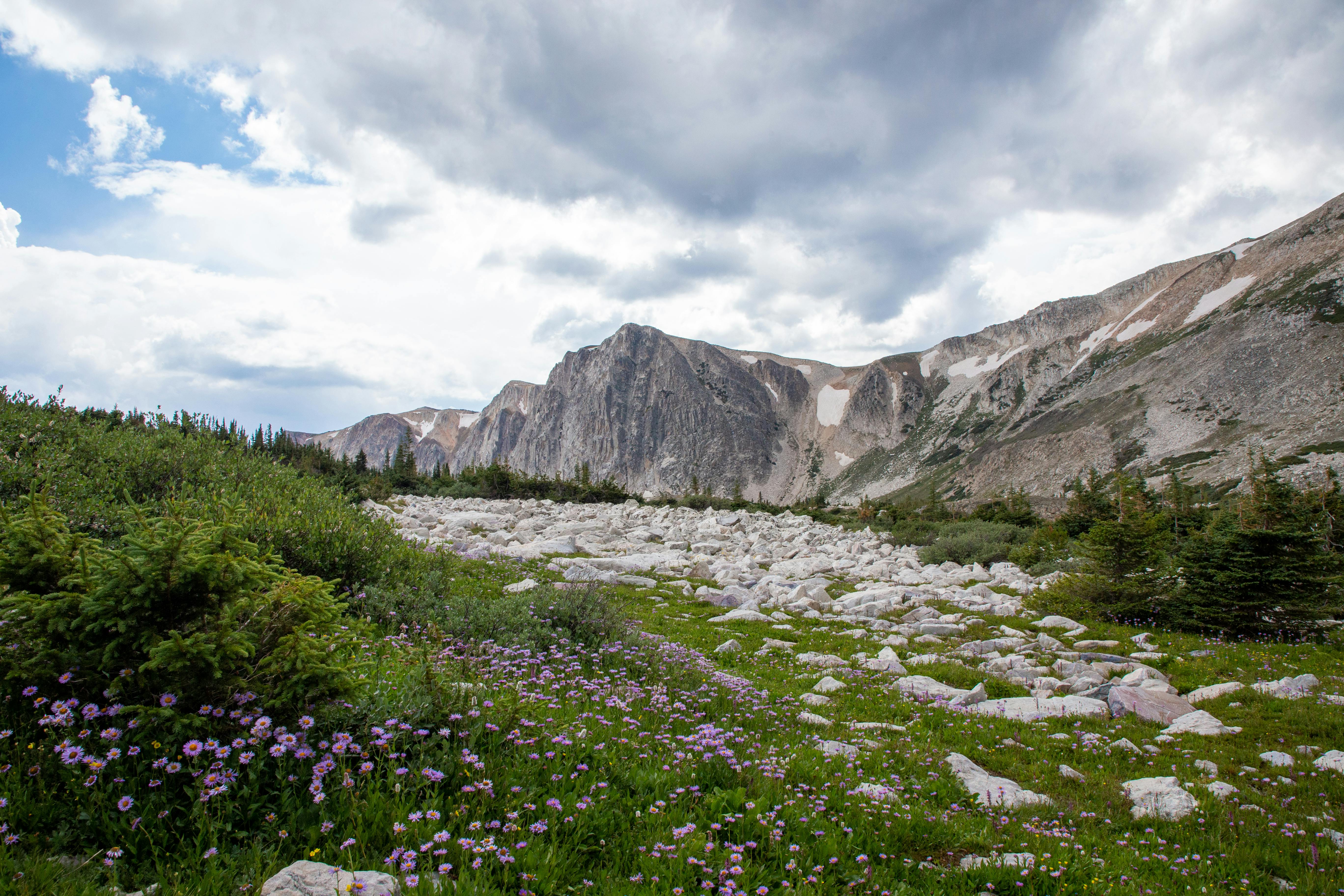 Landscape in Medicine Bow Mountains · Free Stock Photo