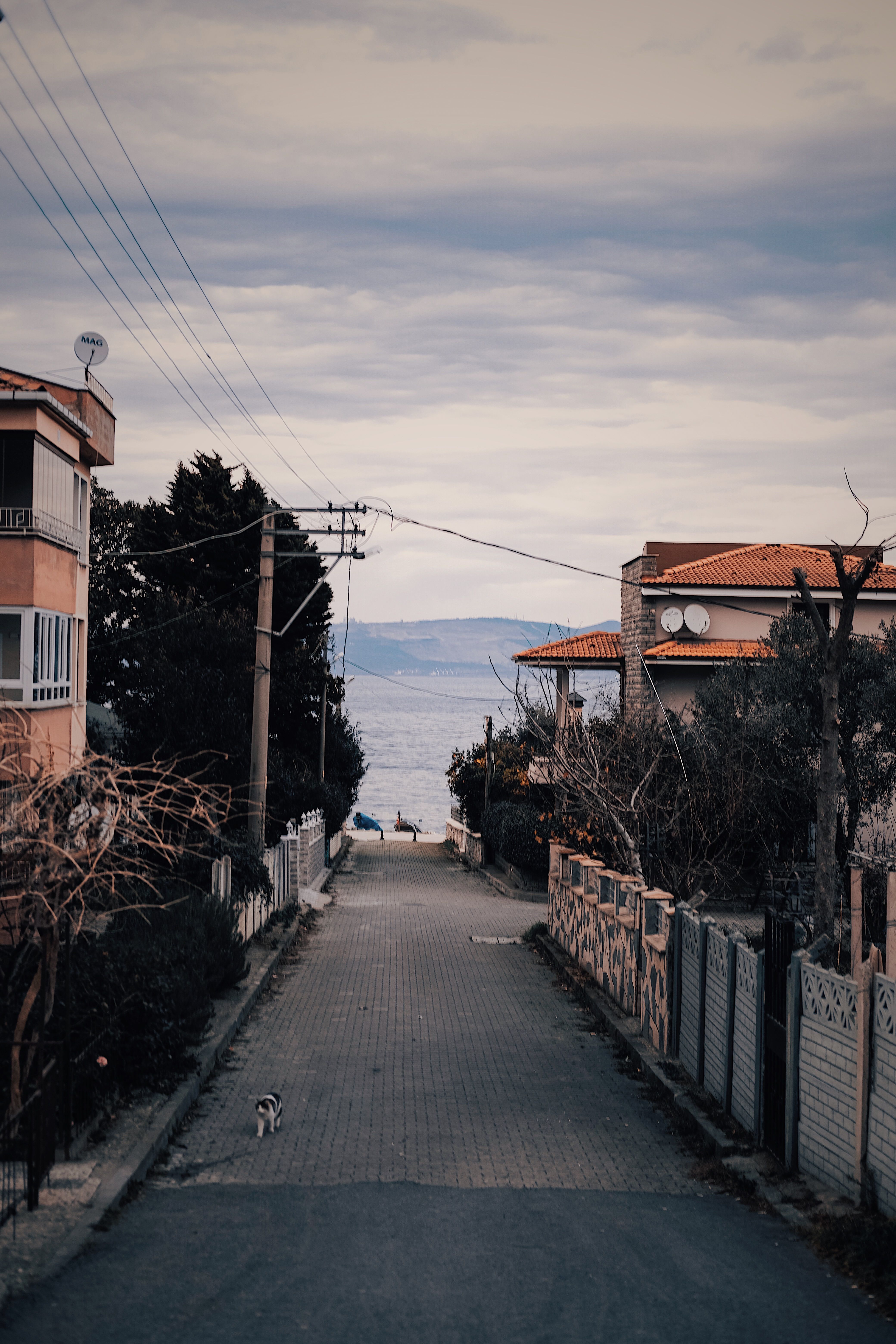 Street between Houses · Free Stock Photo