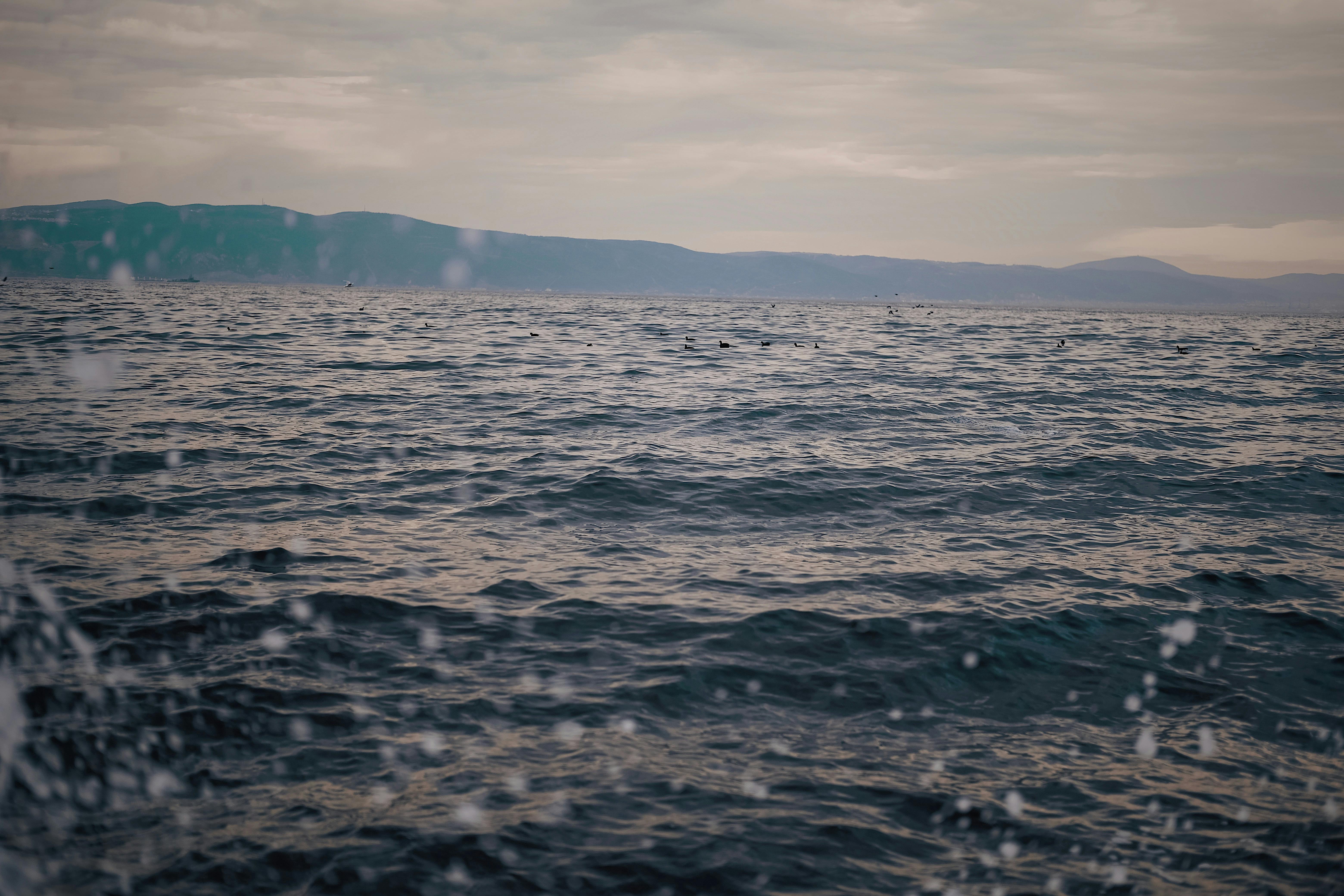 Photo of a Blue Ocean · Free Stock Photo