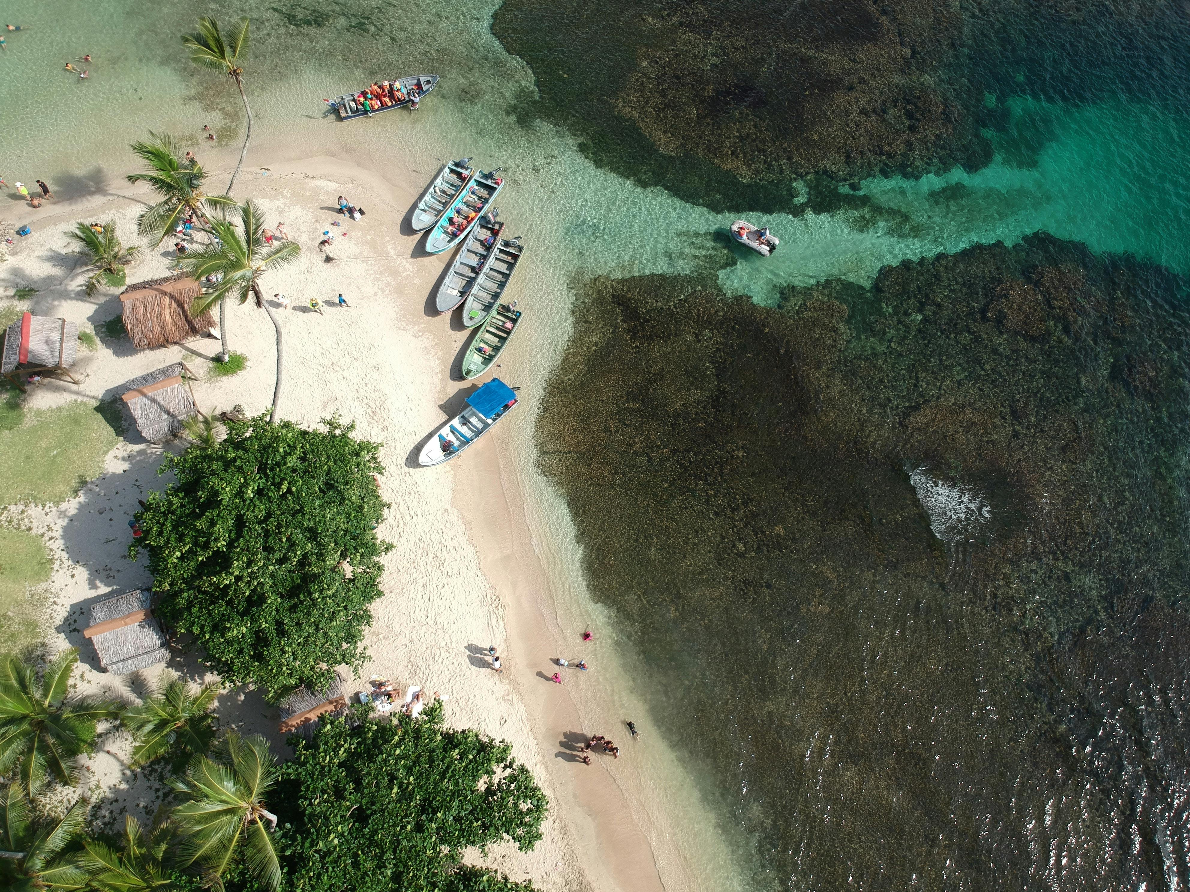 Birds Eye View of a Beach · Free Stock Photo